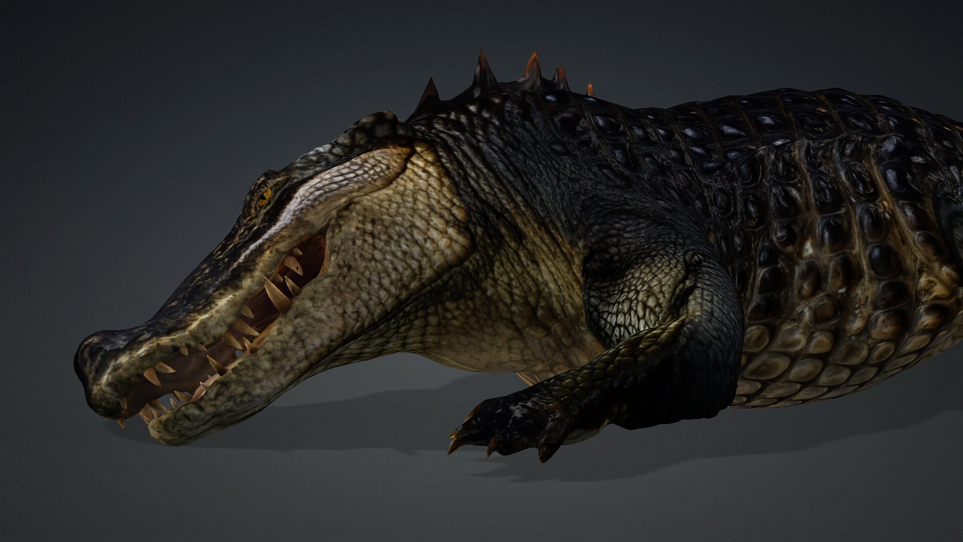 Crocodile-Animated 3D Animation by Animated3d