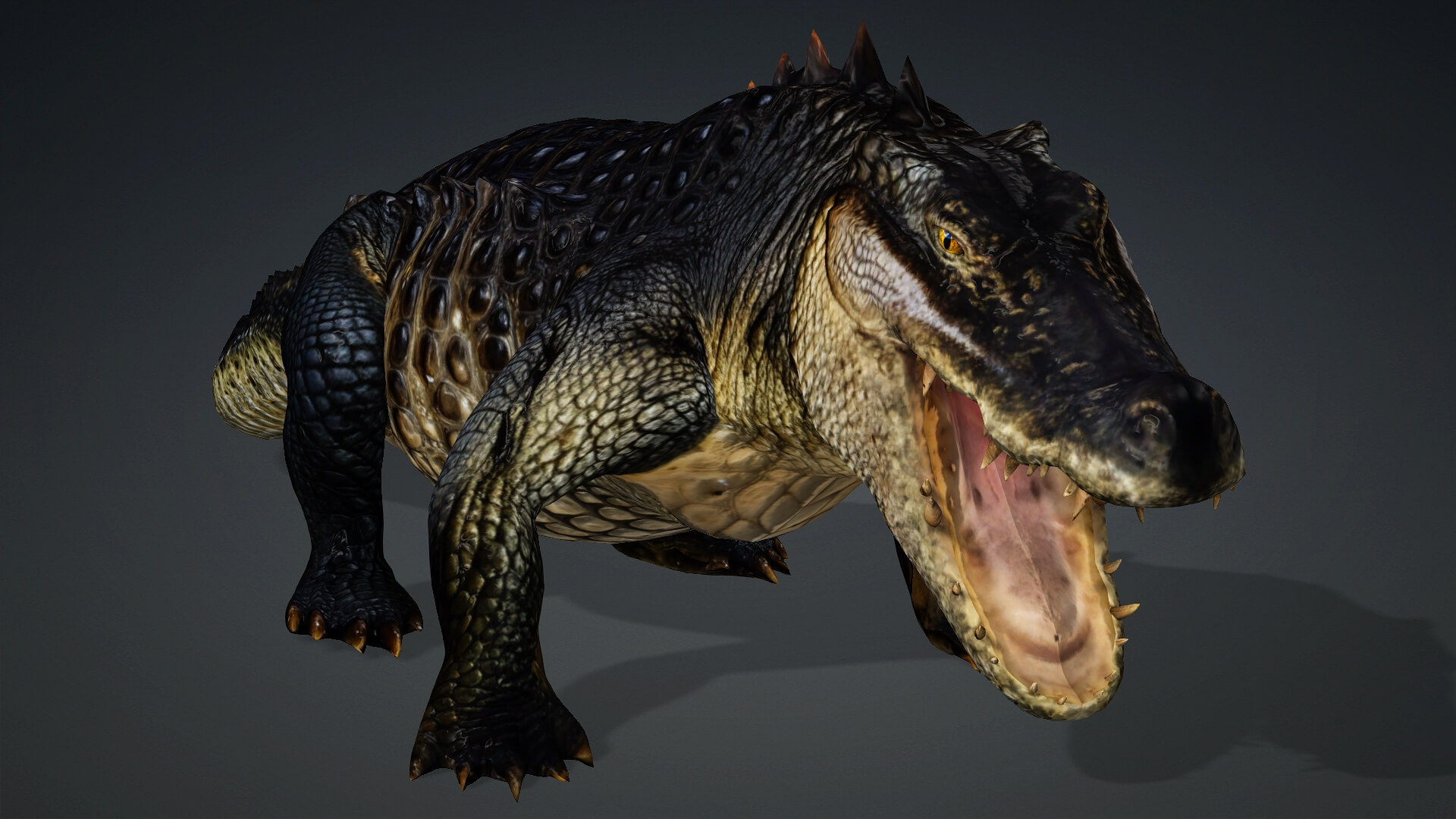 Crocodile-Animated 3D Animation by Animated3d