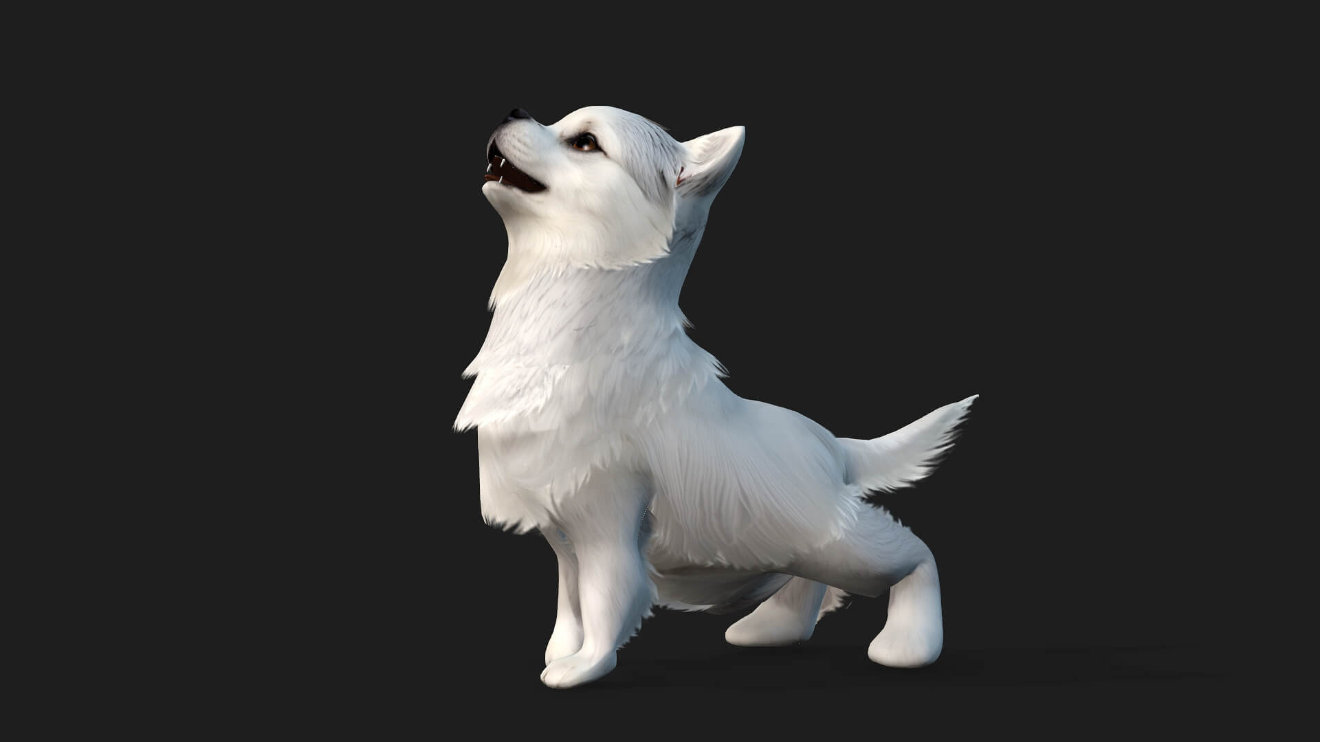 Dog A1 Animated - 3D Model by Animated3d