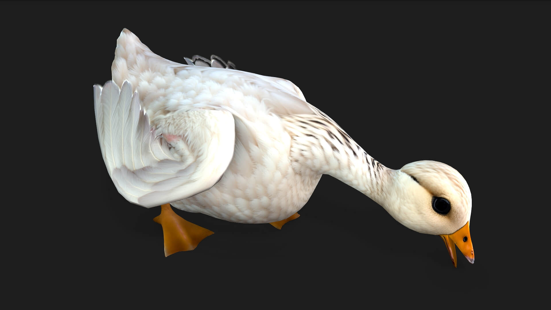 Duck A1 Animated - 3D Model by Animated3d