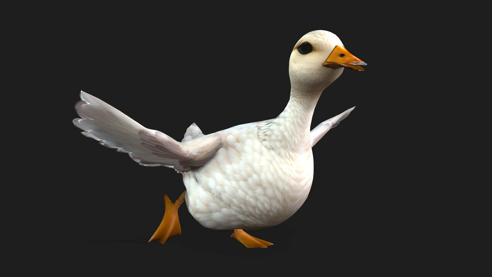 Duck A1 Animated - 3D Model by Animated3d