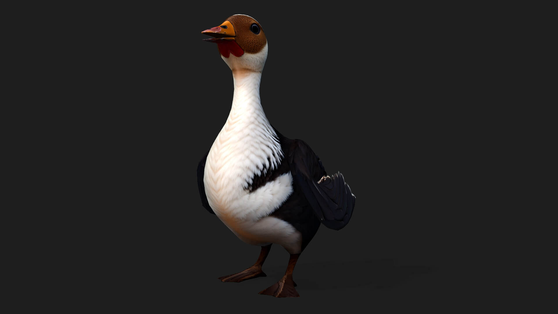 Duck A5 Animated - 3D Model by Animated3d