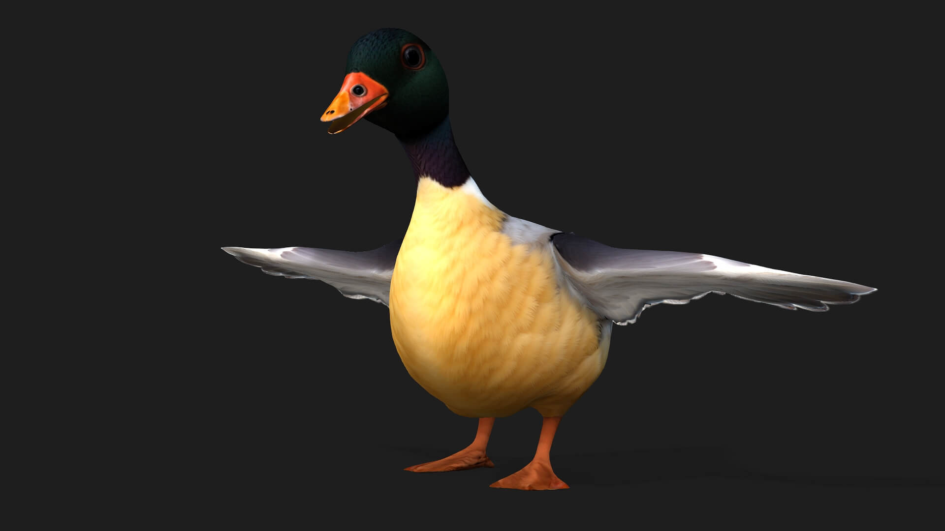 Duck A7 Animated - 3D Model by Animated3d