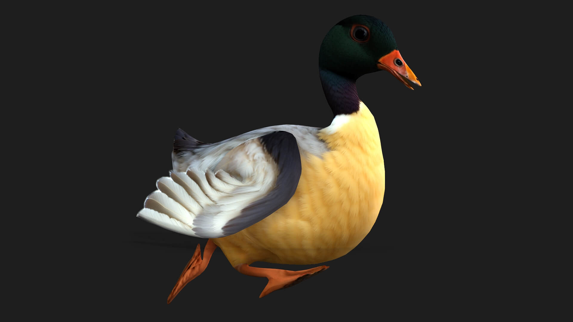Duck A7 Animated - 3D Model by Animated3d