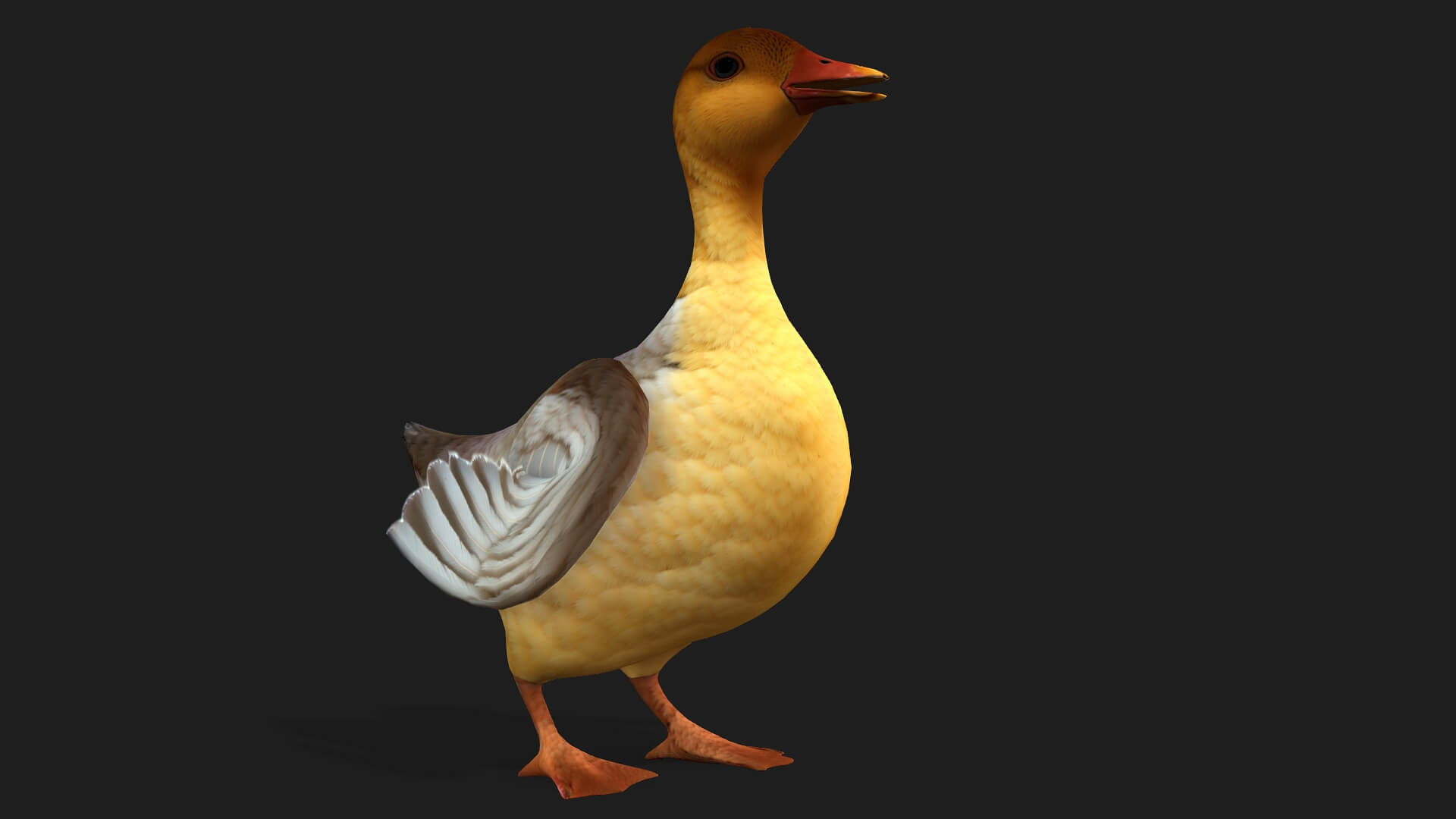 Duck A8 Animated - 3D Model by Animated3d