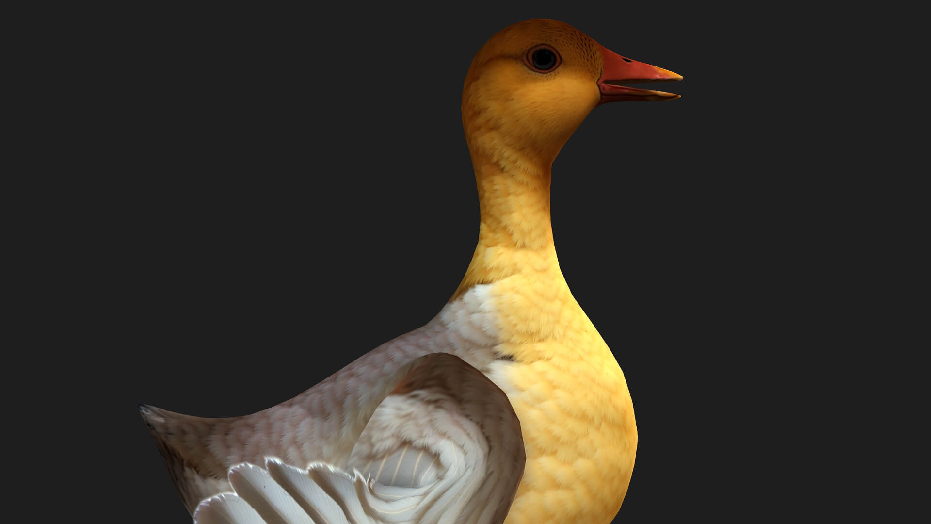Duck A8 Animated - 3D Model by Animated3d