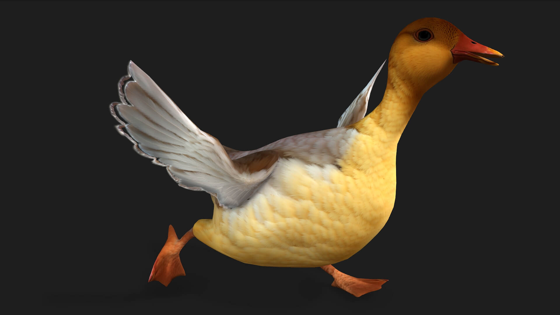 Duck A8 Animated - 3D Model by Animated3d