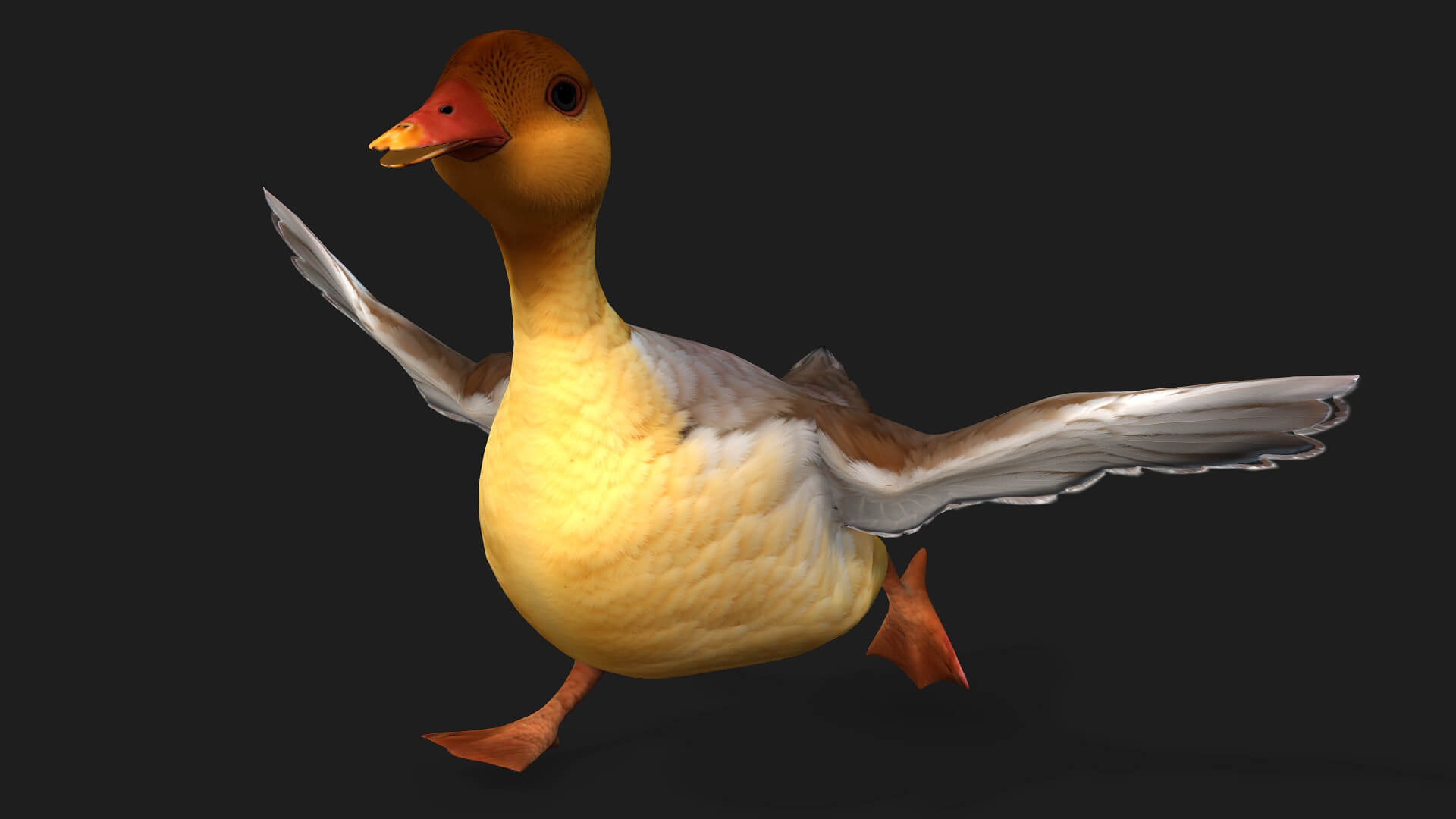 Duck A8 Animated - 3D Model by Animated3d