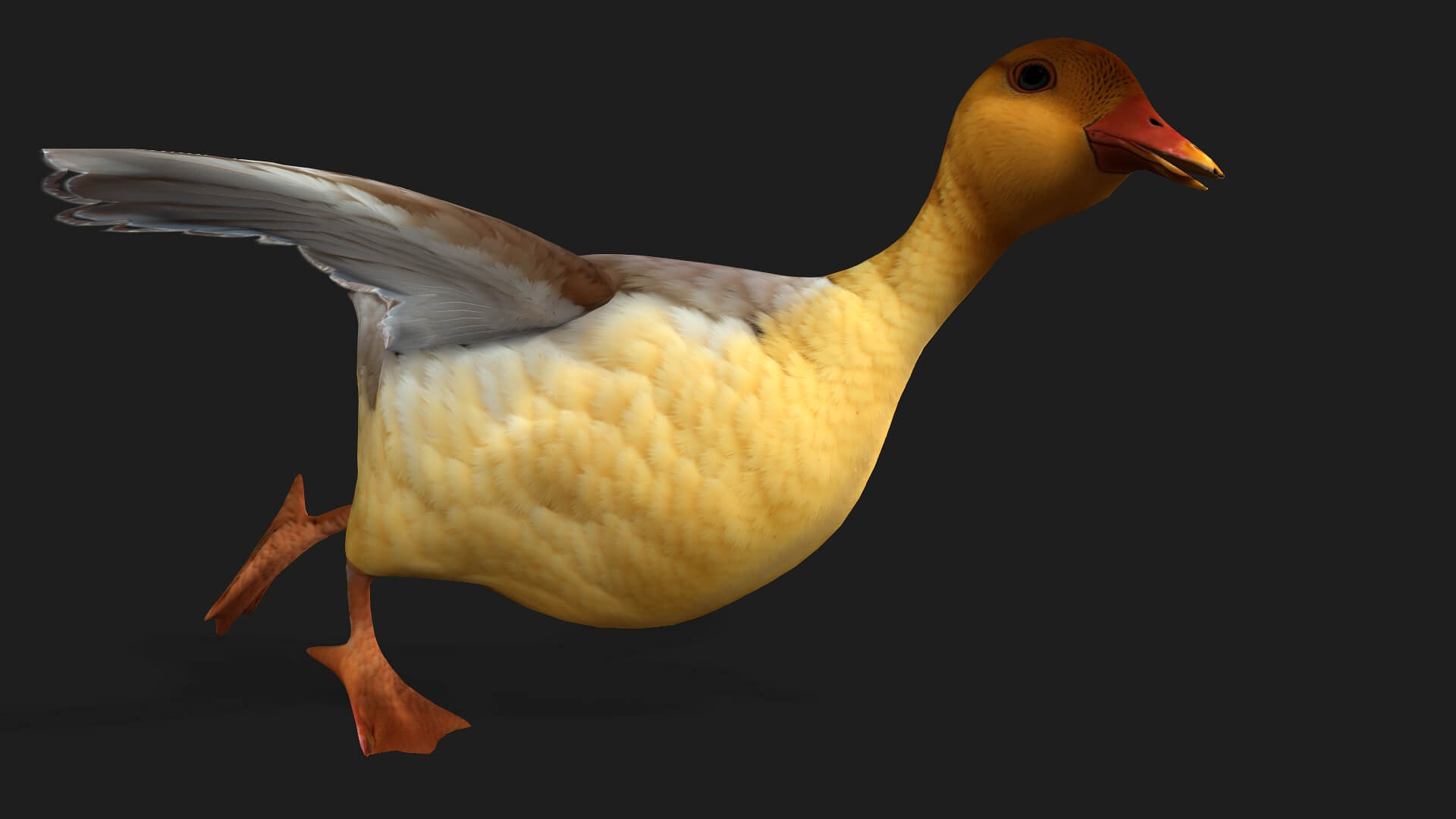 Duck A8 Animated - 3D Model by Animated3d