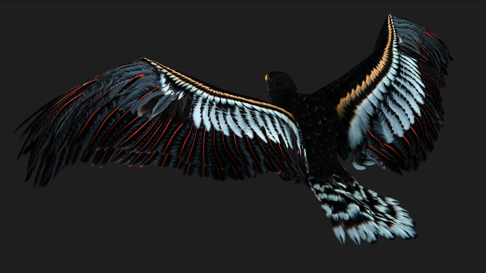 Eagle A1 Animated - 3D Model by Animated3d
