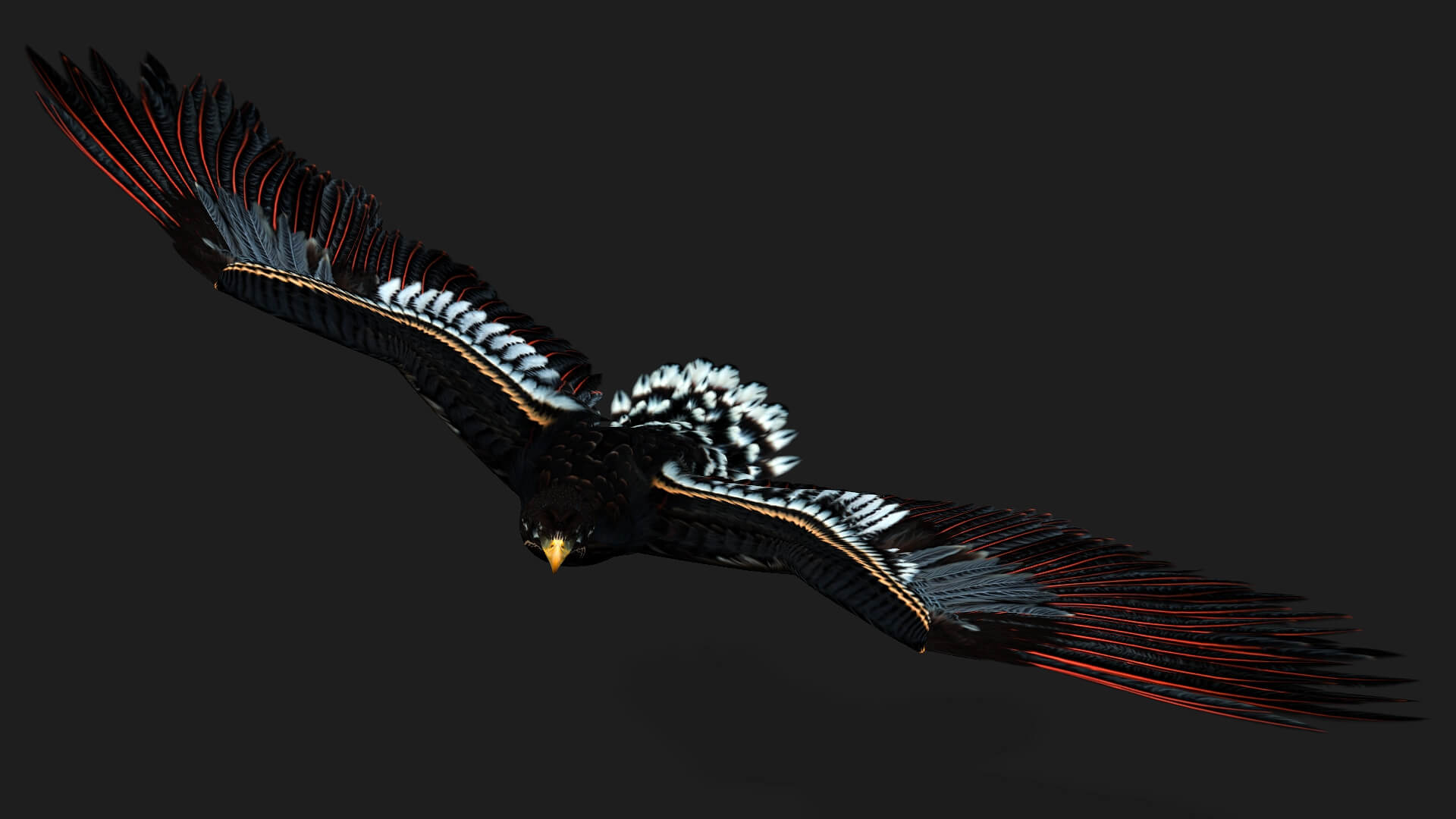 Eagle A1 Animated - 3D Model by Animated3d