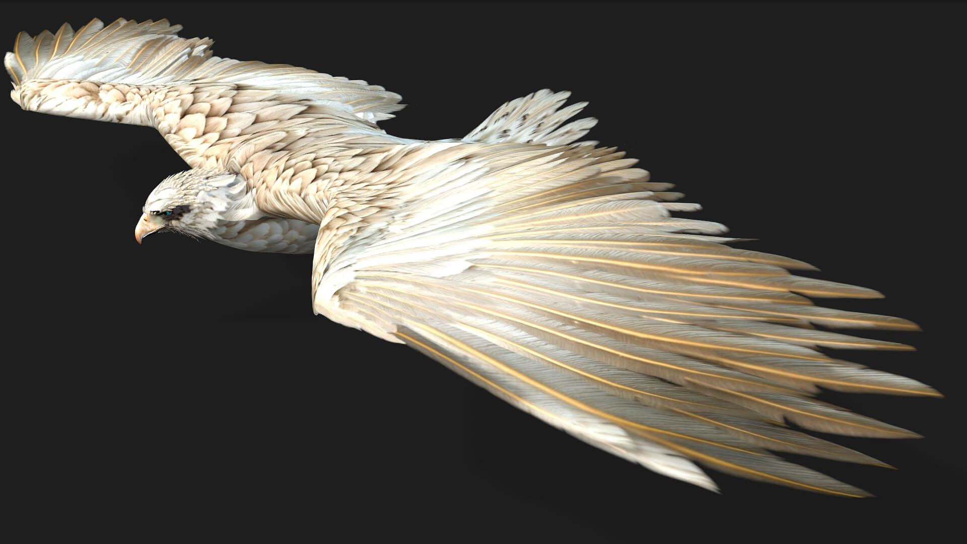 Eagle A2 Animated - 3D Model by Animated3d