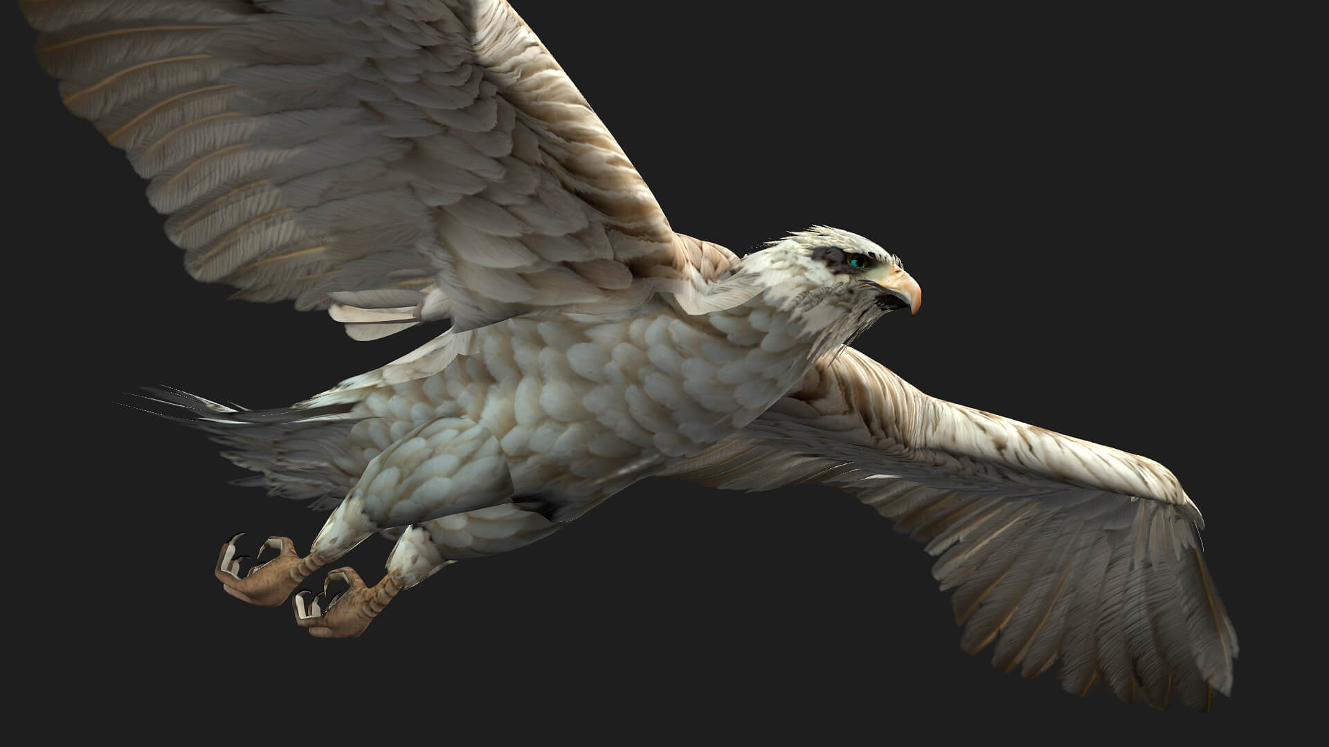 Eagle A2 Animated - 3D Model by Animated3d