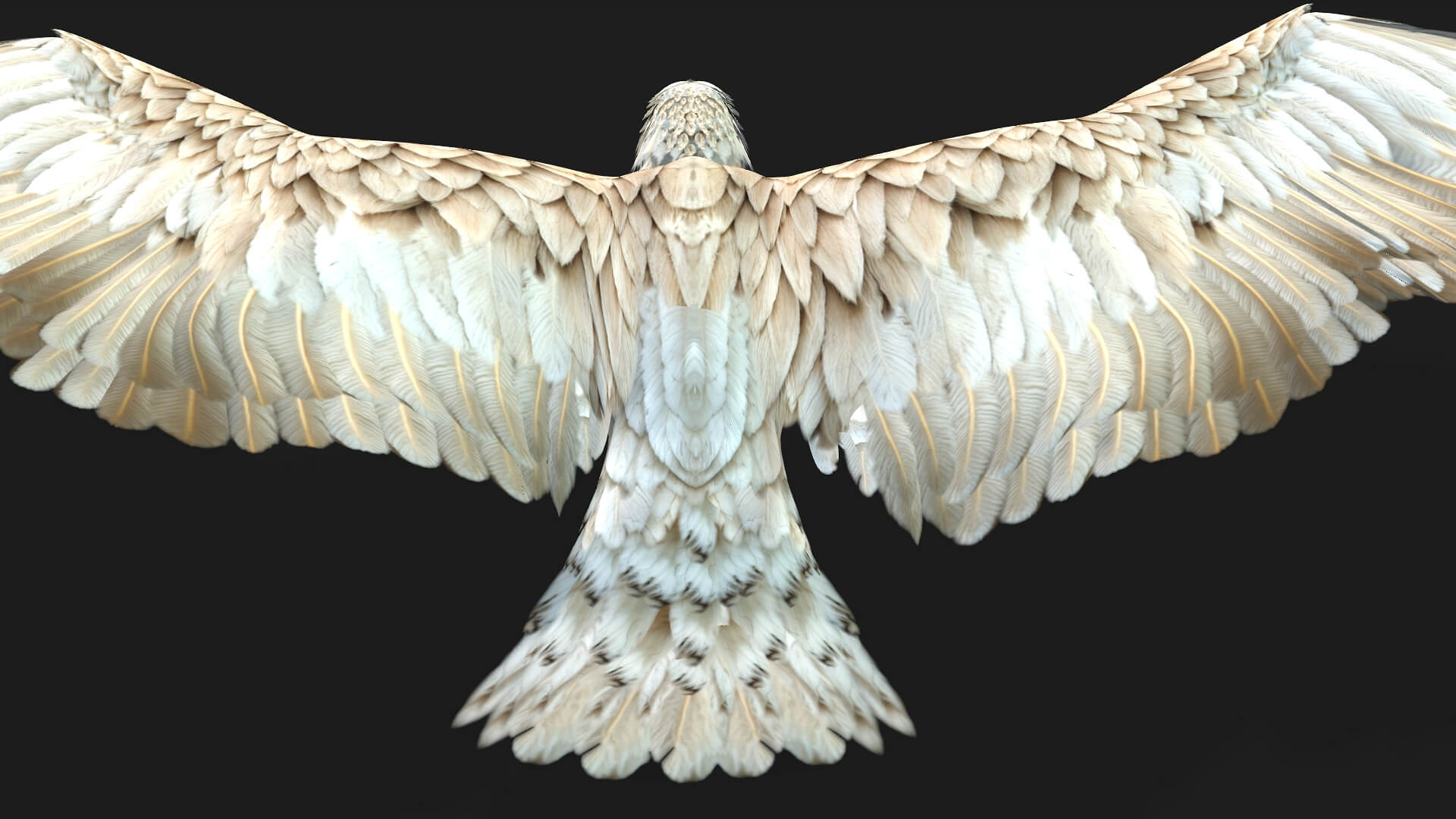 Eagle A2 Animated - 3D Model by Animated3d