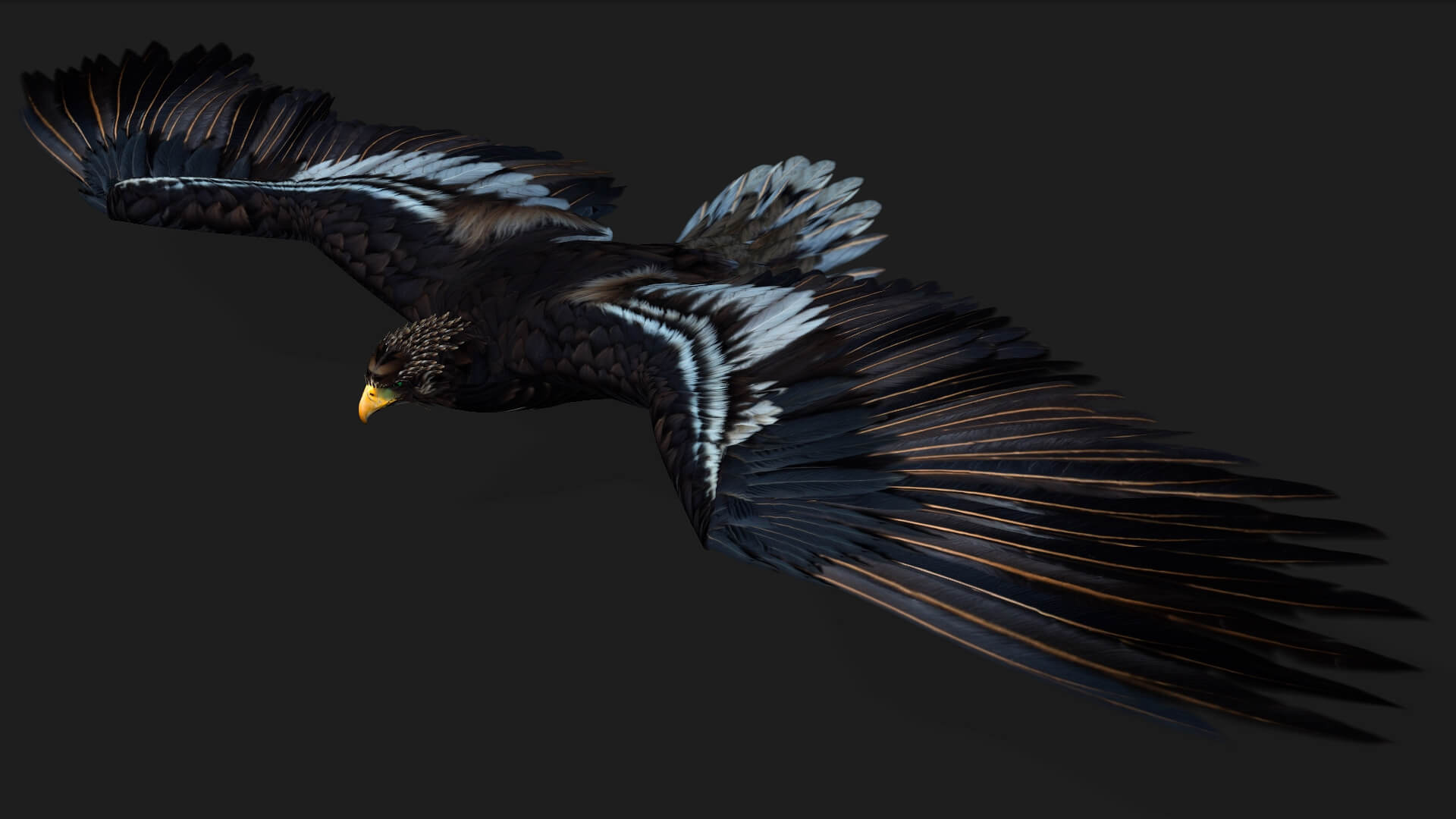 Eagle A3 Animated - 3D Model by Animated3d