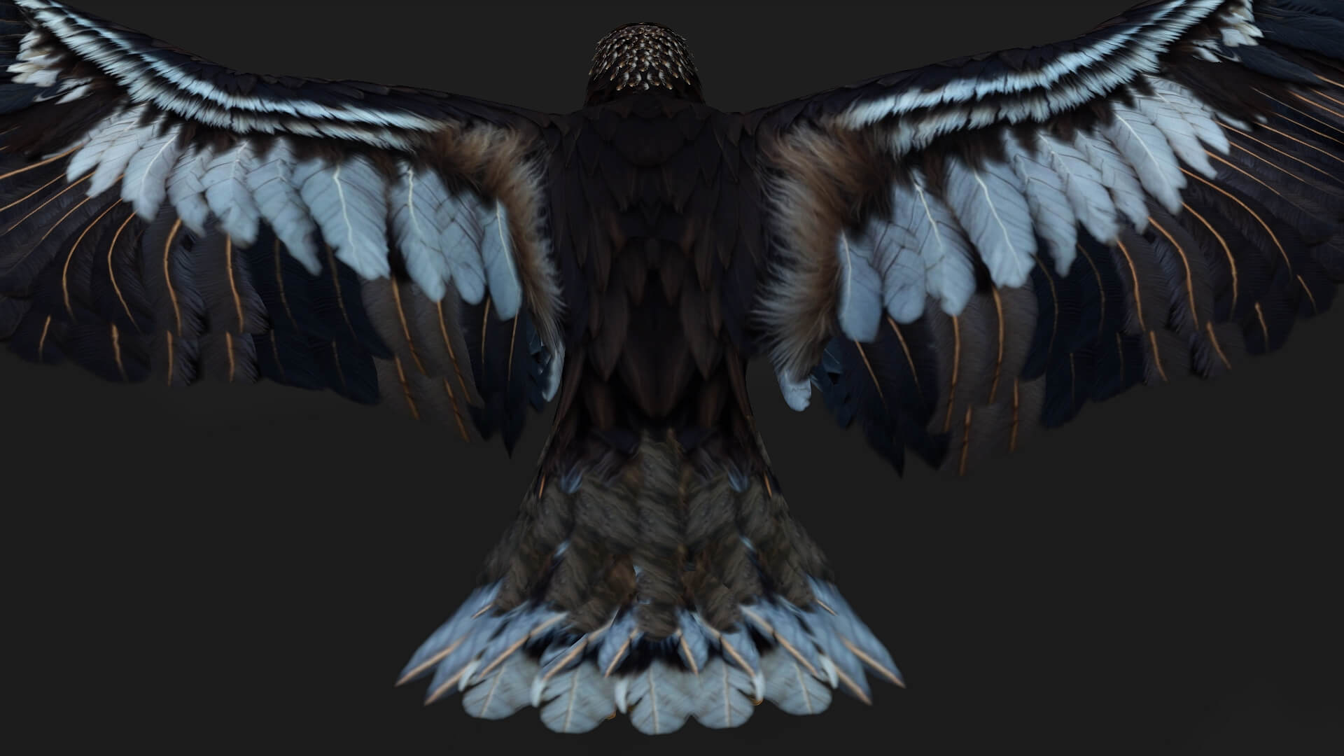 Eagle A3 Animated - 3D Model by Animated3d