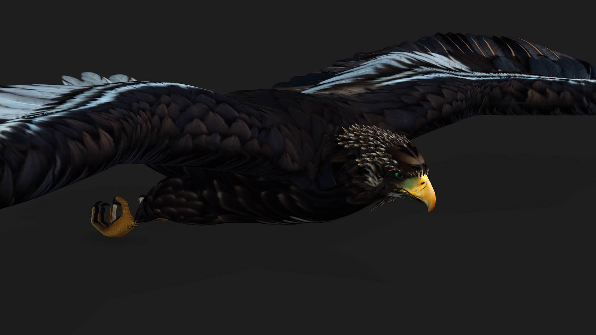 Eagle A3 Animated - 3D Model by Animated3d