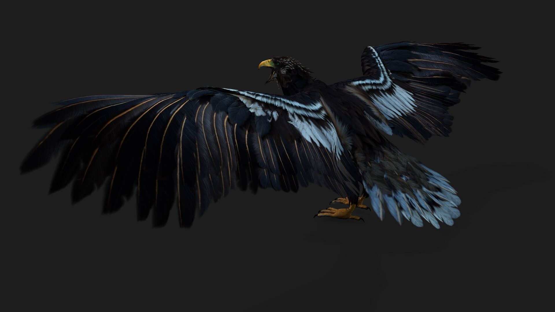 Eagle A3 Animated - 3D Model by Animated3d