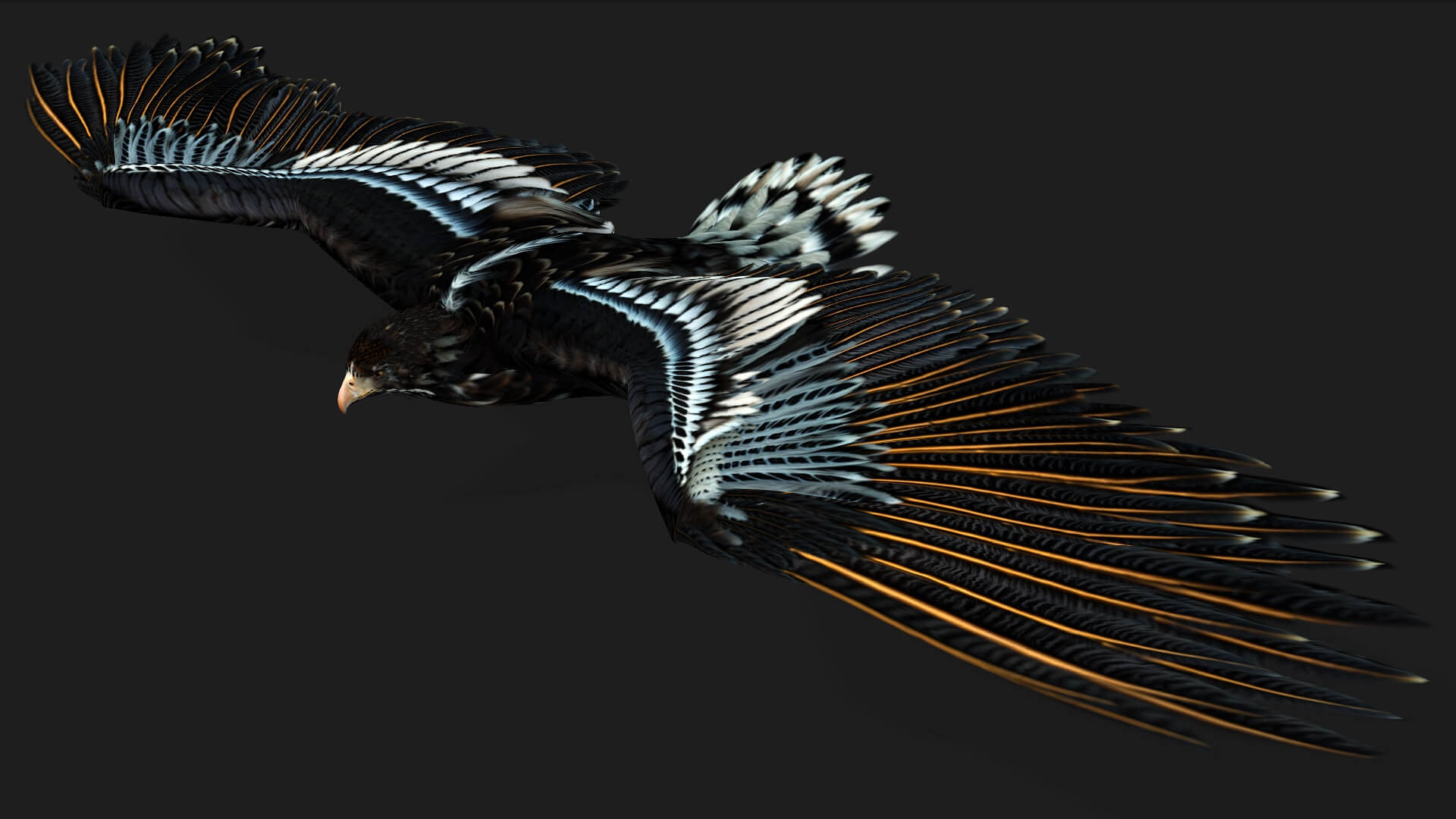 Eagle A4 Animated - 3D Model by Animated3d
