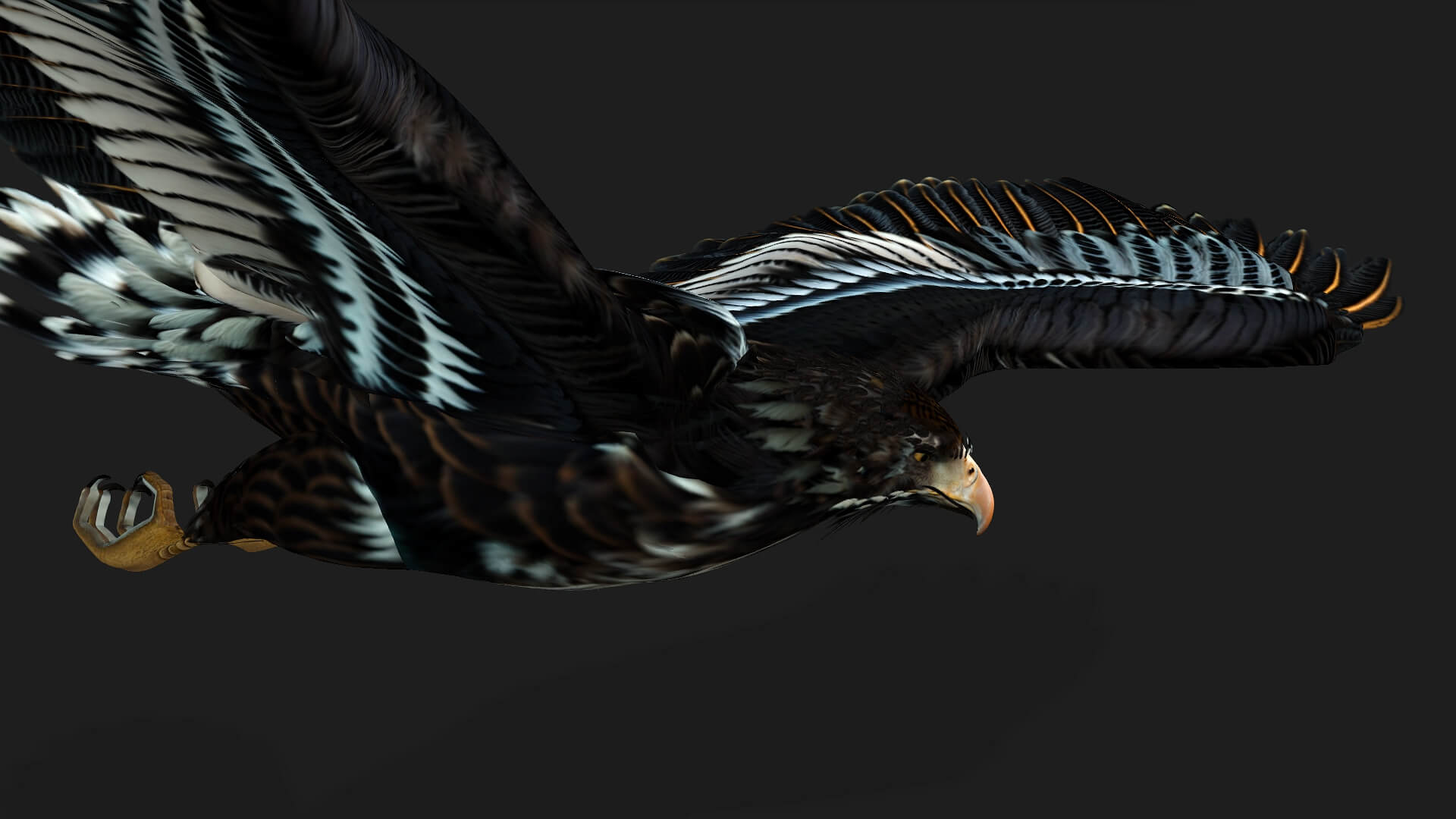 Eagle A4 Animated - 3D Model by Animated3d