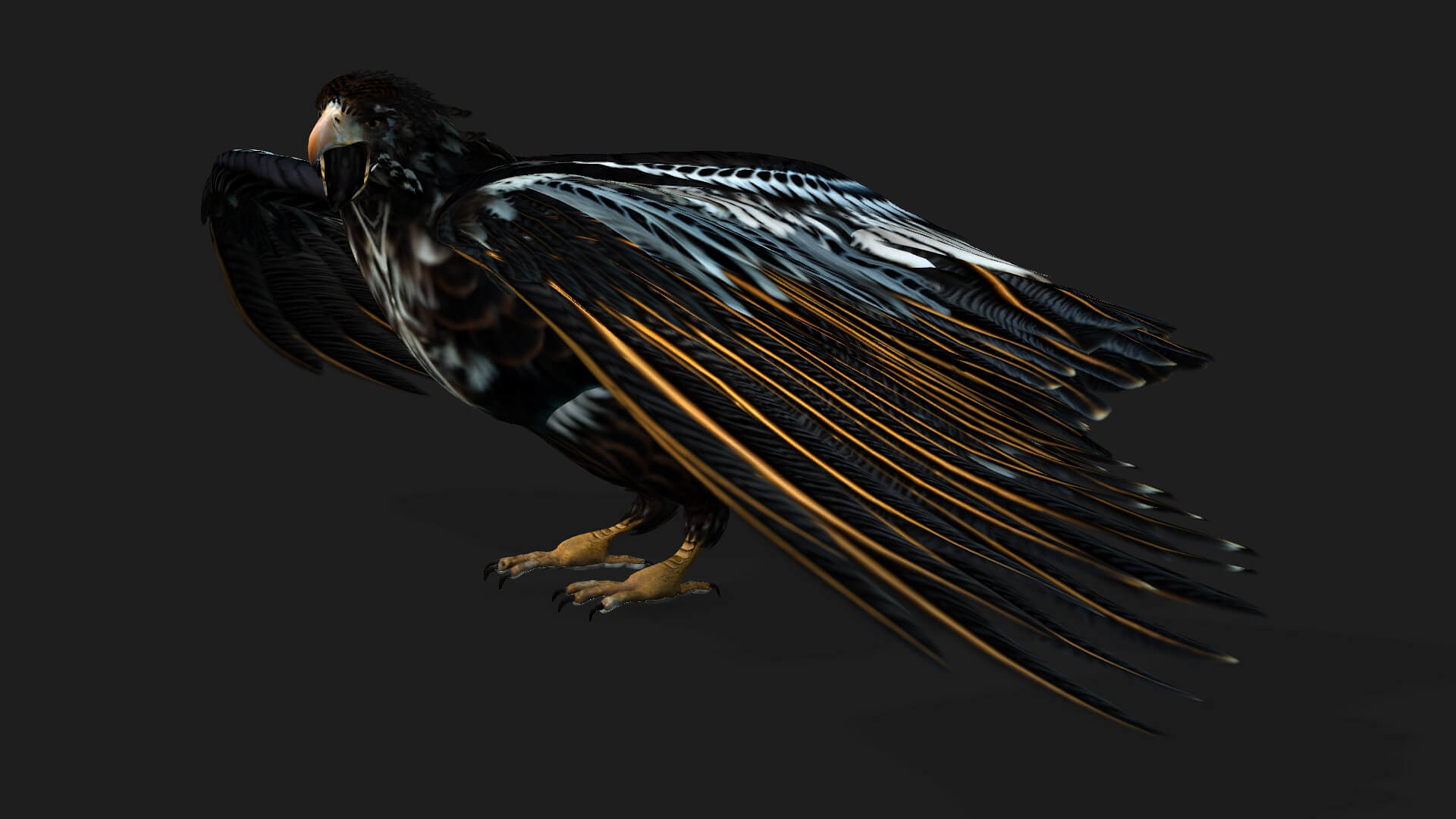Eagle A4 Animated - 3D Model by Animated3d