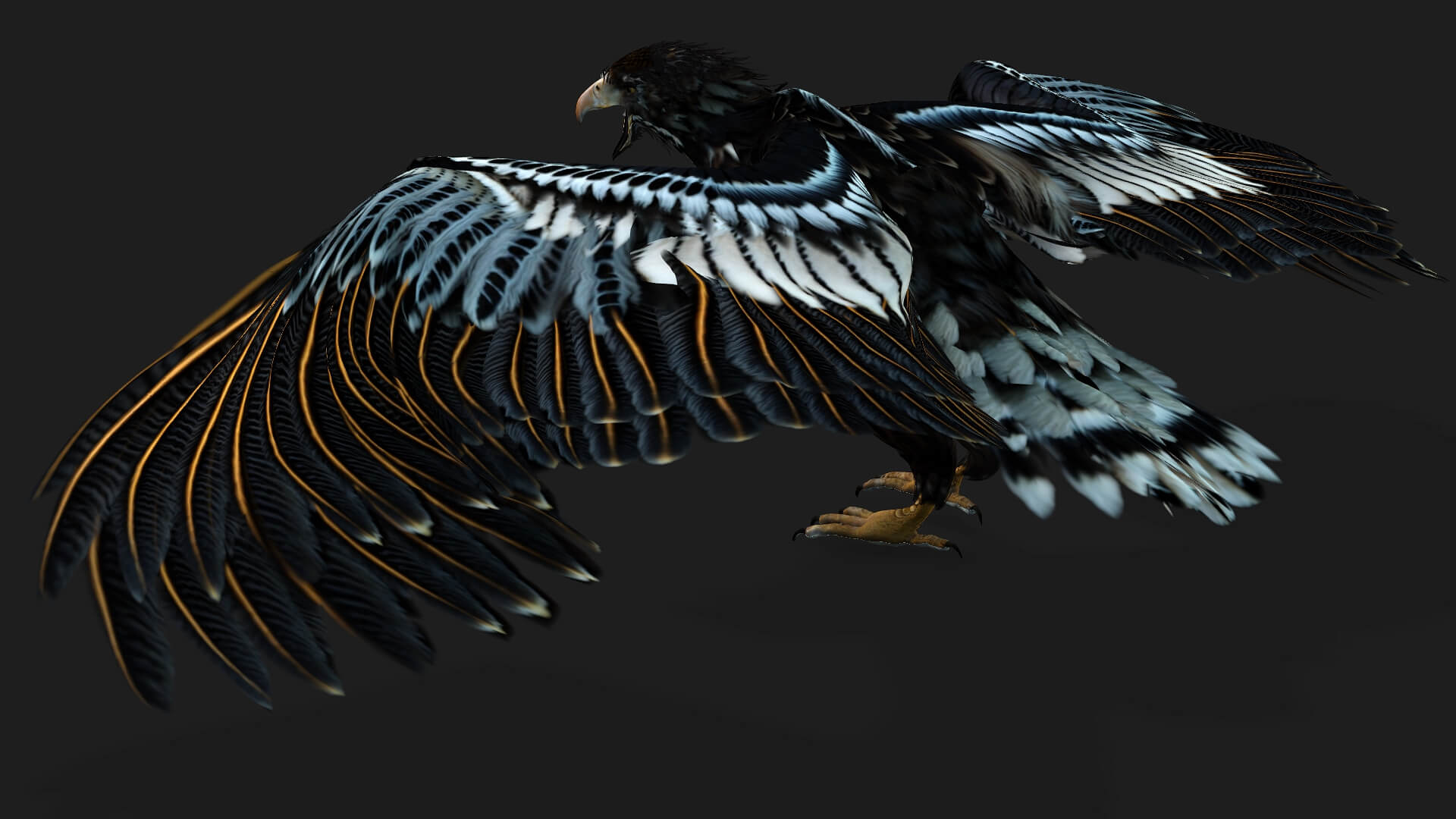 Eagle A4 Animated - 3D Model by Animated3d