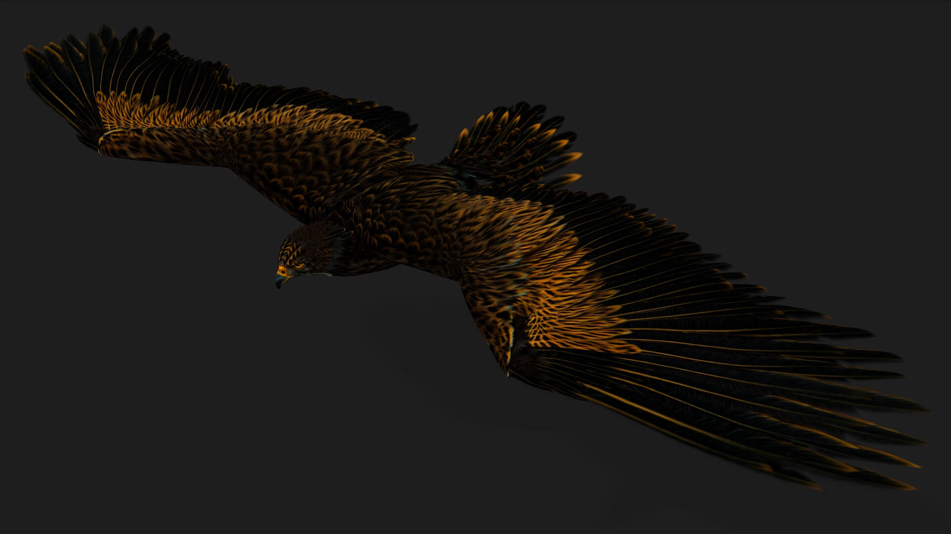 Eagle A5 Animated - 3D Model by Animated3d