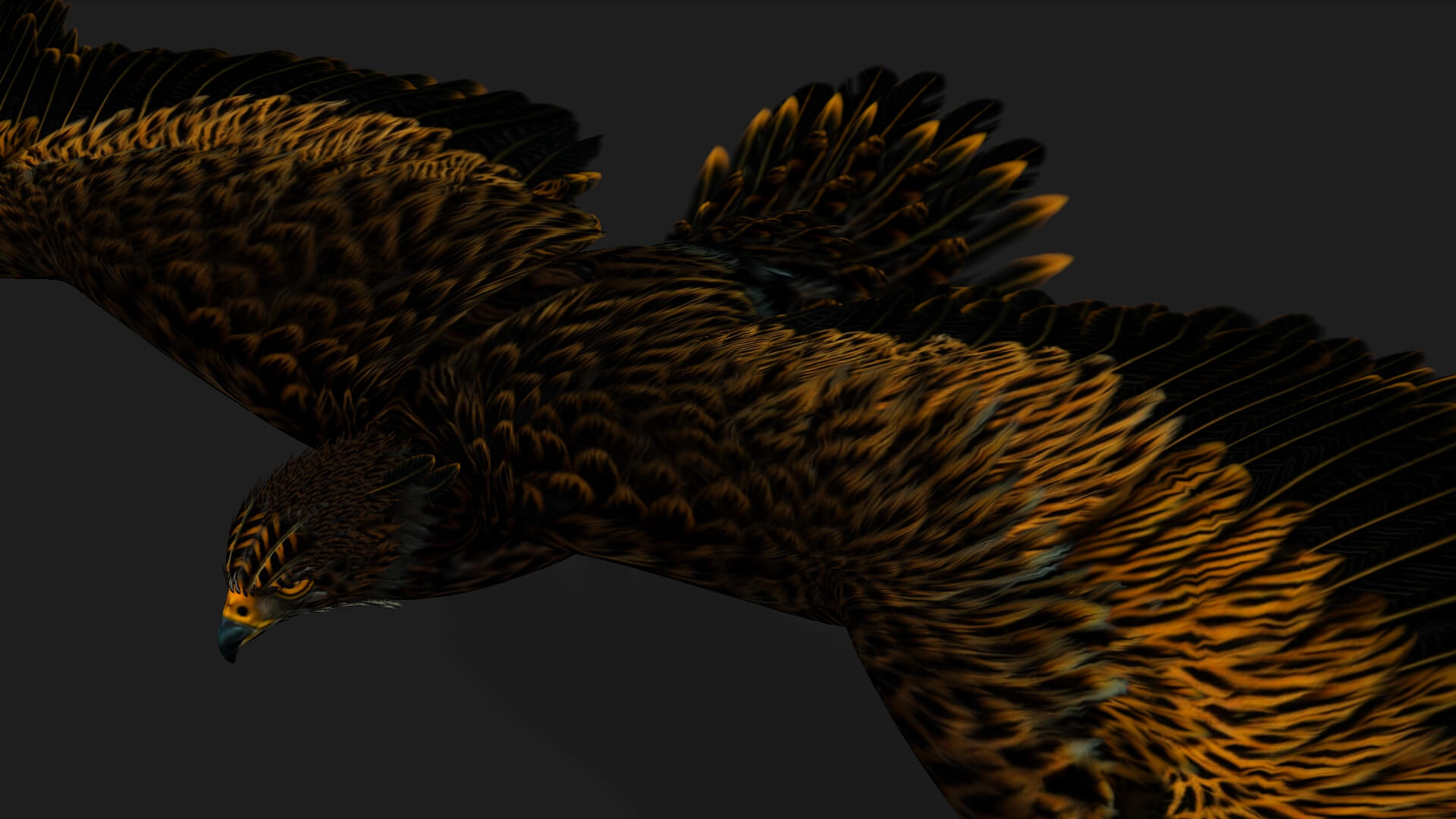 Eagle A5 Animated - 3D Model by Animated3d