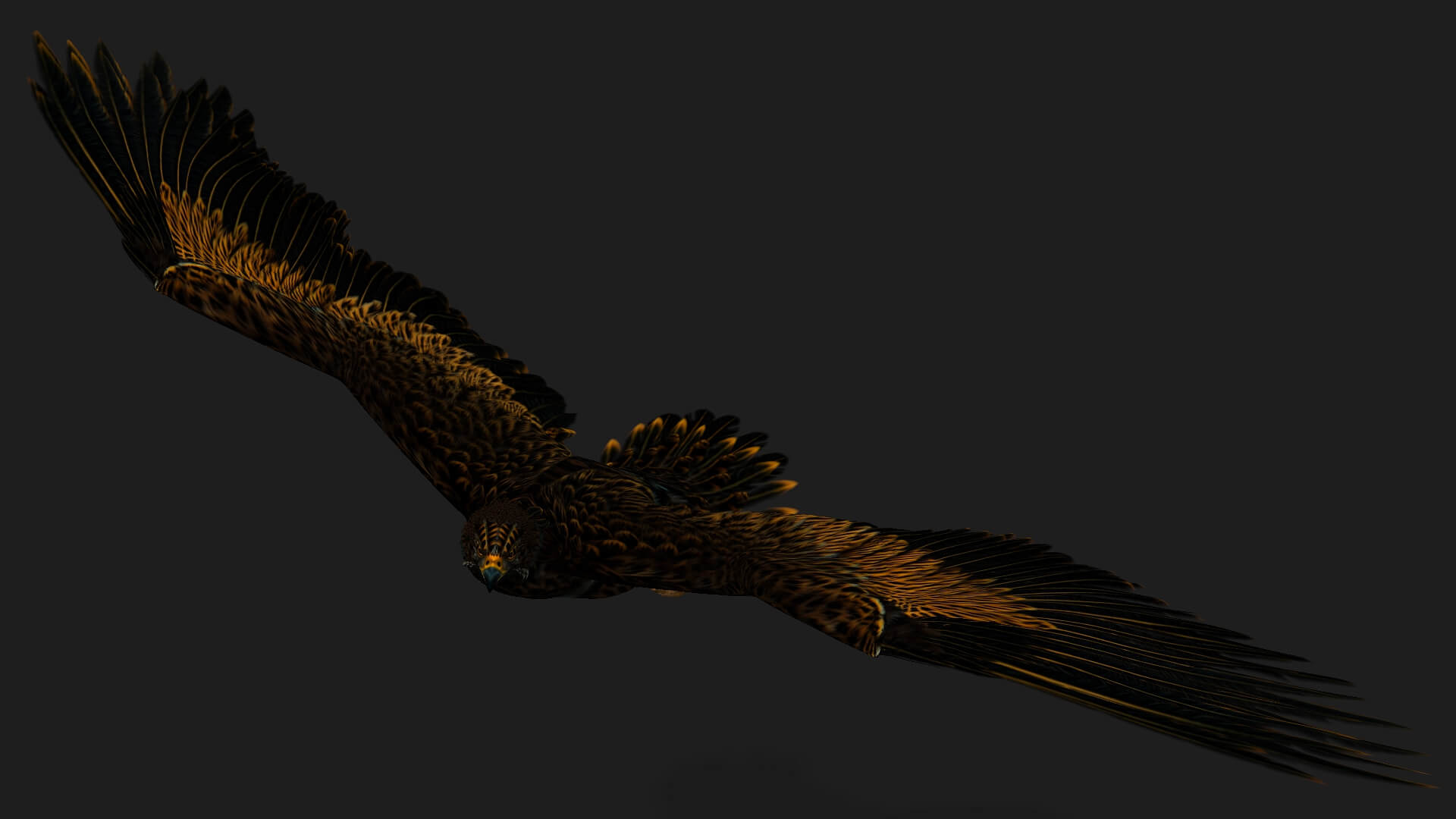 Eagle A5 Animated - 3D Model by Animated3d
