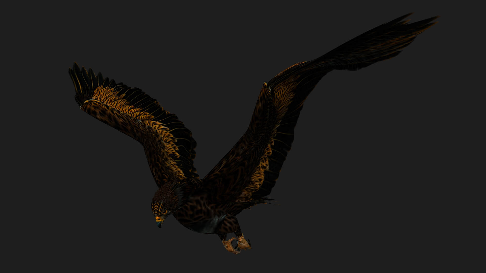 Eagle A5 Animated - 3D Model by Animated3d