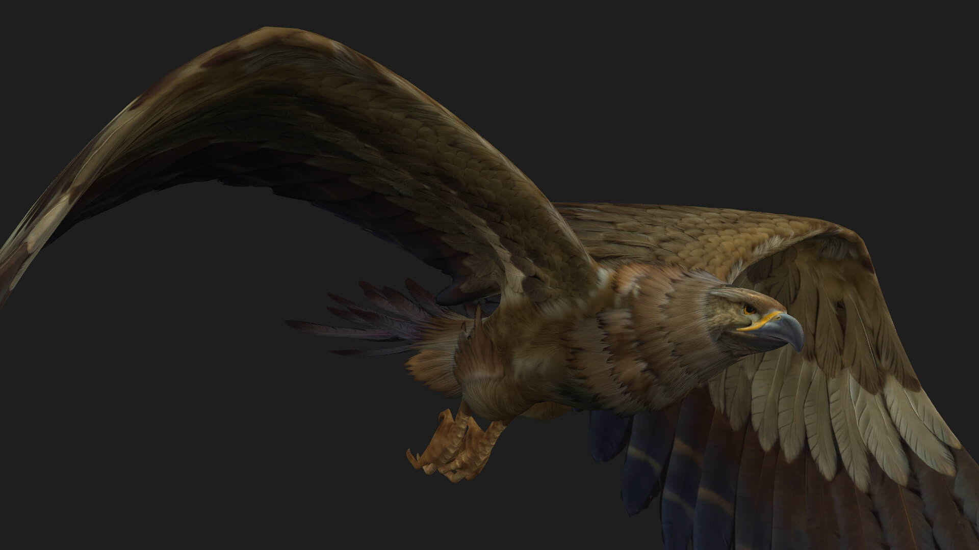 Eagle-B1-Animated 3D Animation by Animated3d