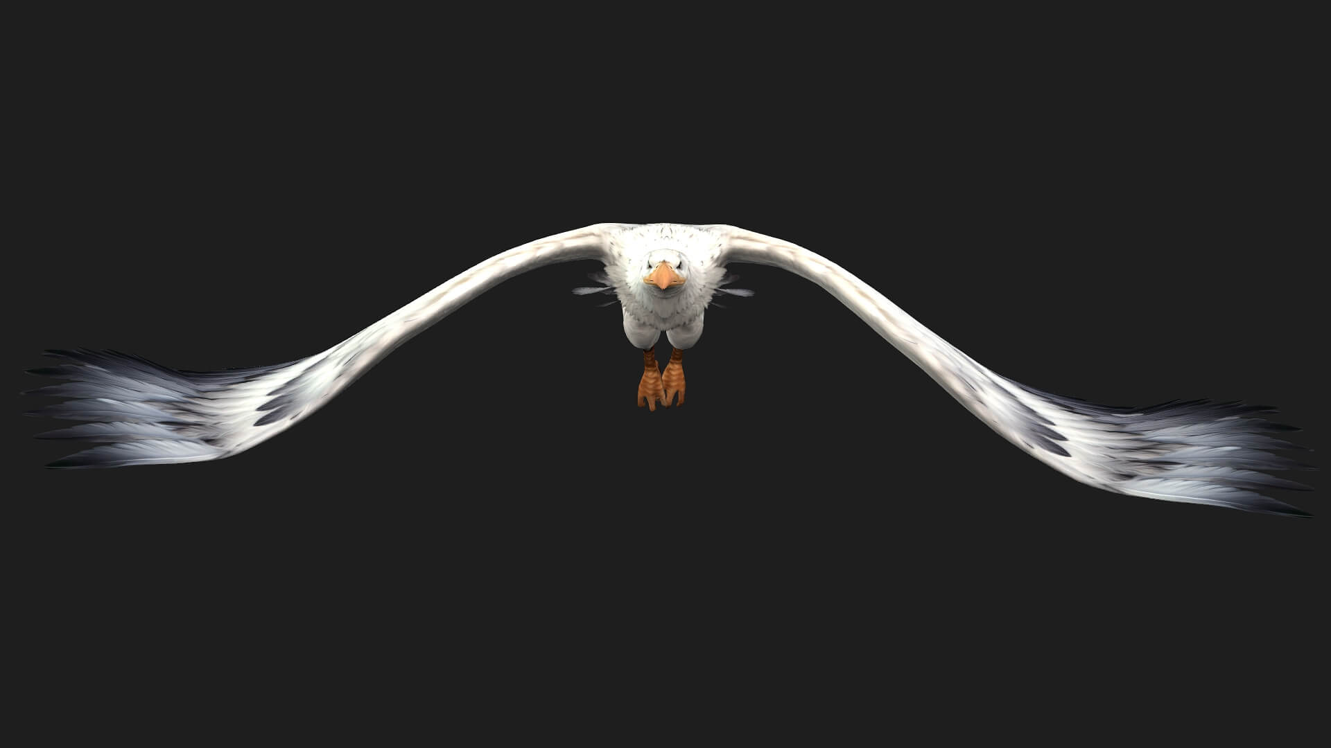 Eagle-B3-Animated 3D Animation by Animated3d