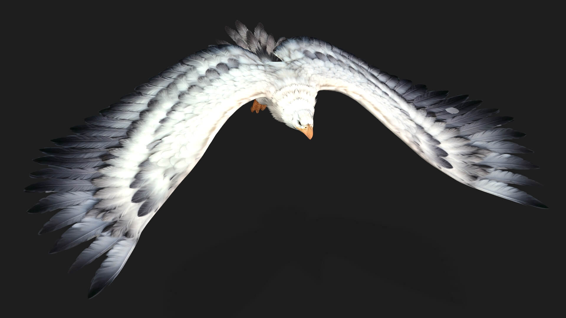 Eagle-B3-Animated 3D Animation by Animated3d