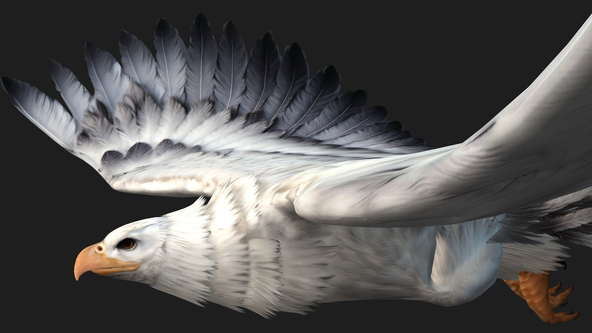 Eagle-B3-Animated 3D Animation by Animated3d
