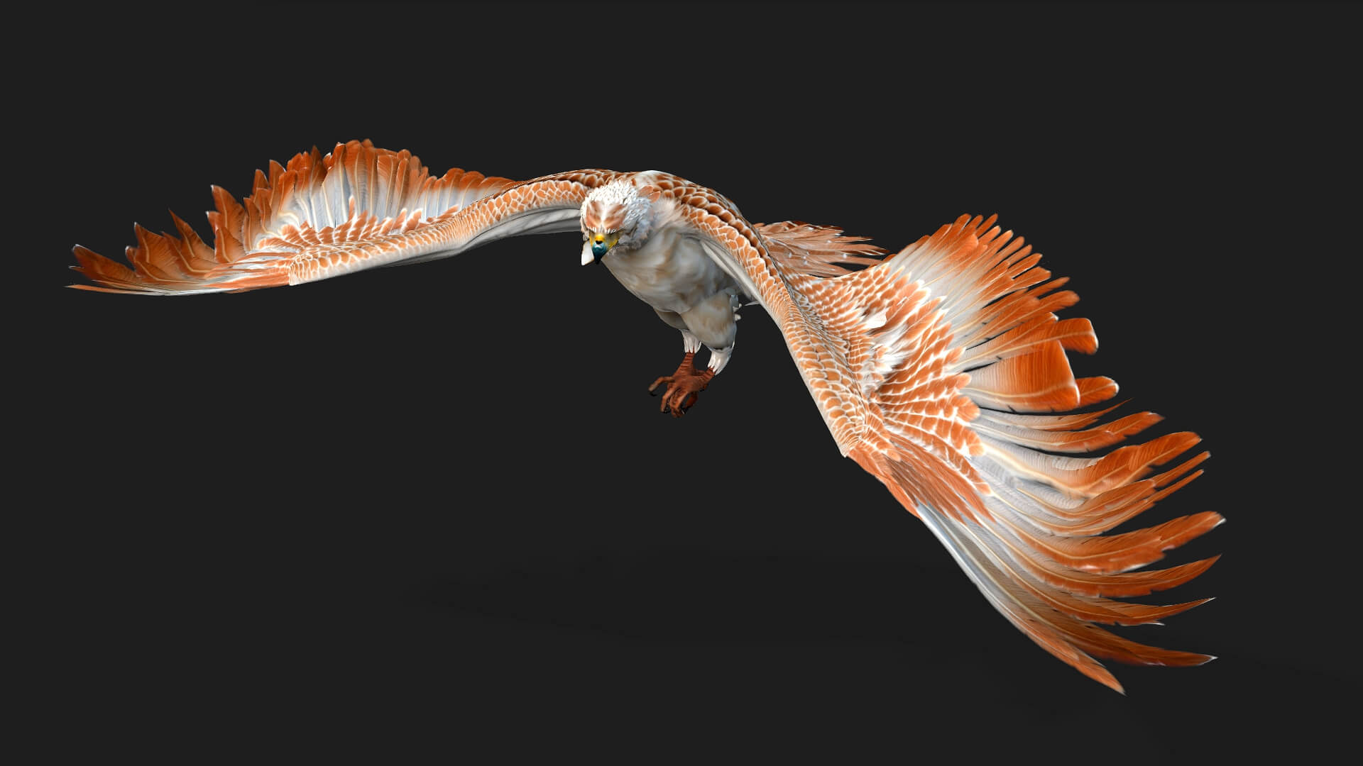 Eagle V2E Animated - 3D Model by Animated3d