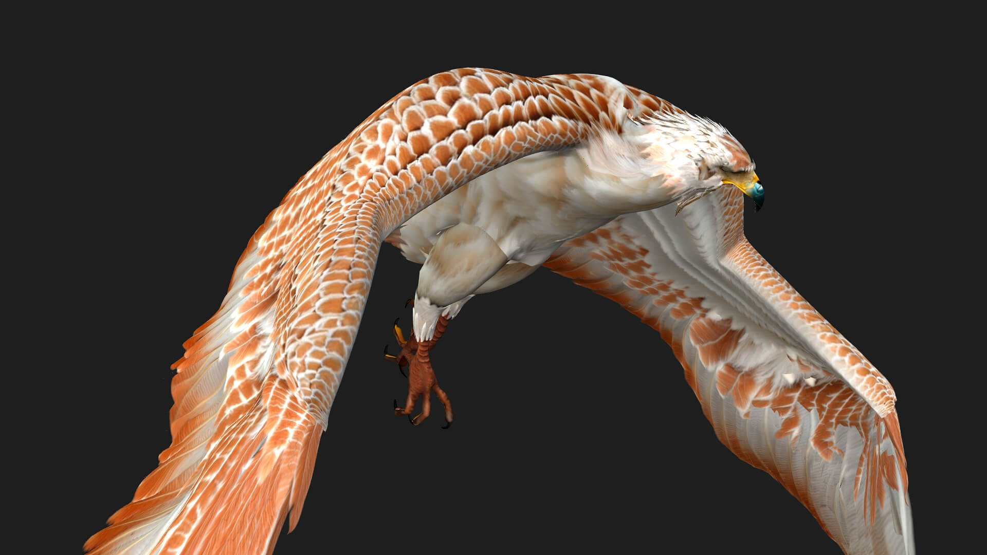 Eagle V2E Animated - 3D Model by Animated3d