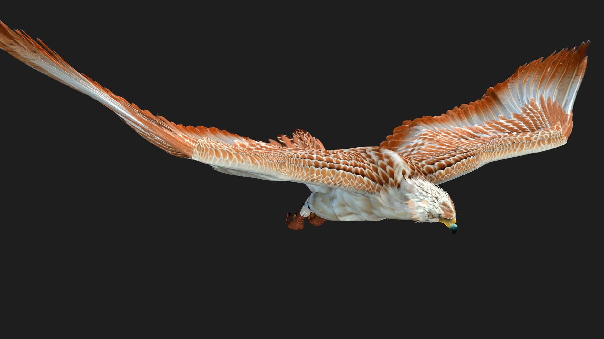 Eagle V2E Animated - 3D Model by Animated3d