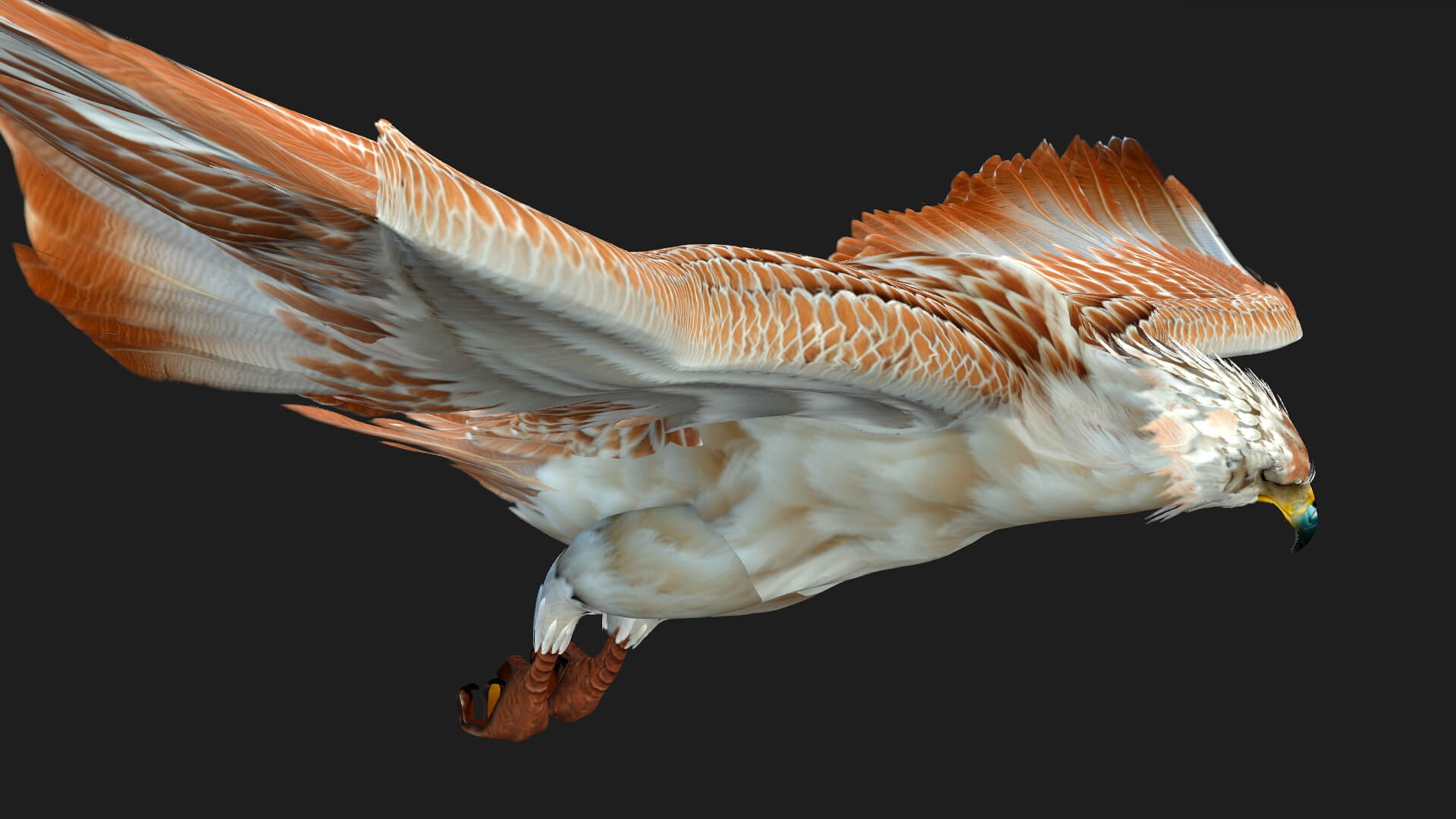 Eagle V2E Animated - 3D Model by Animated3d