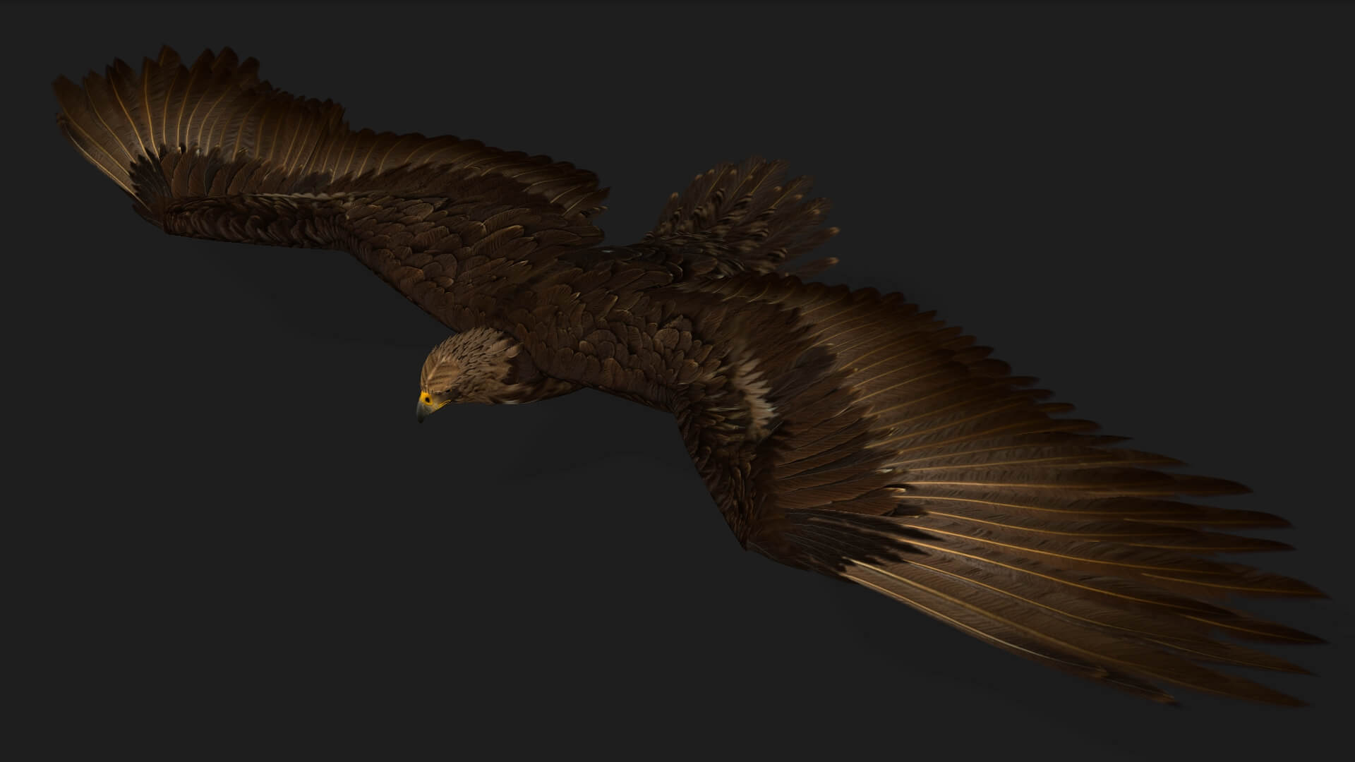 Eagle V3E Animated - 3D Model by Animated3d