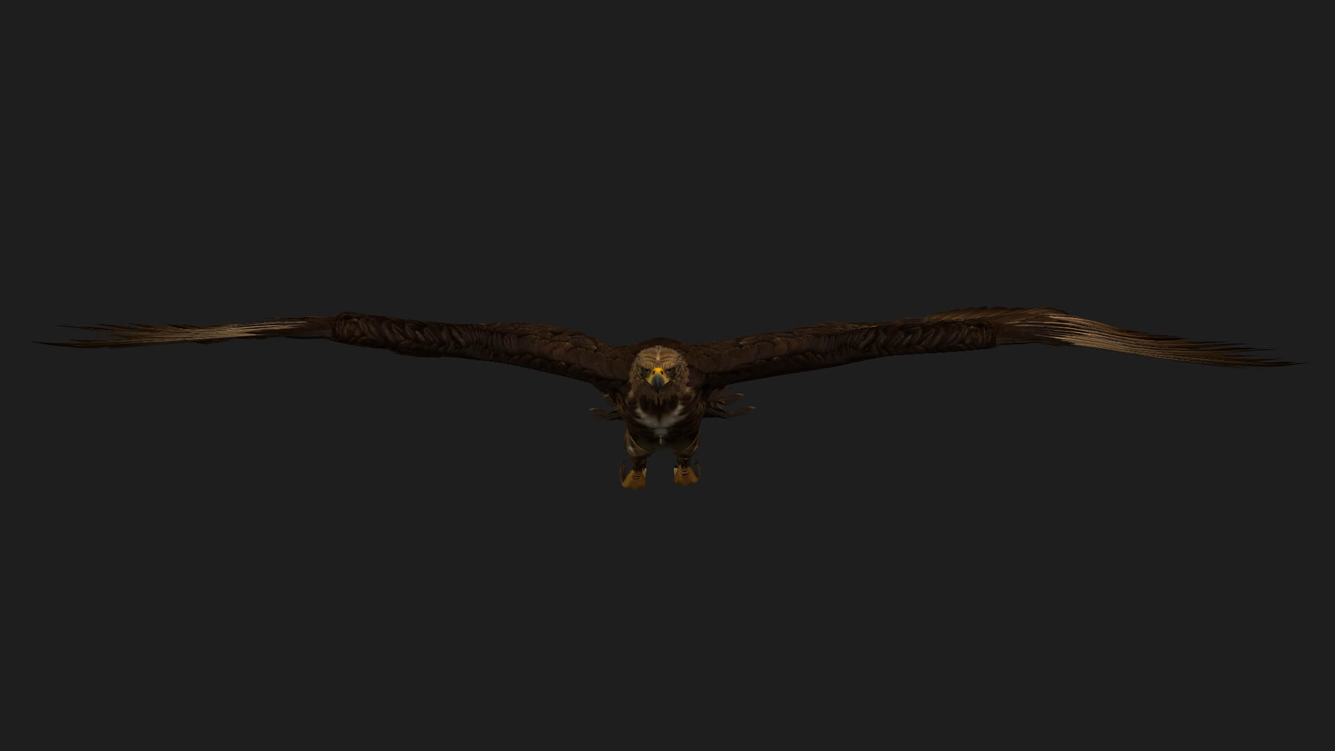 Eagle V3E Animated - 3D Model by Animated3d