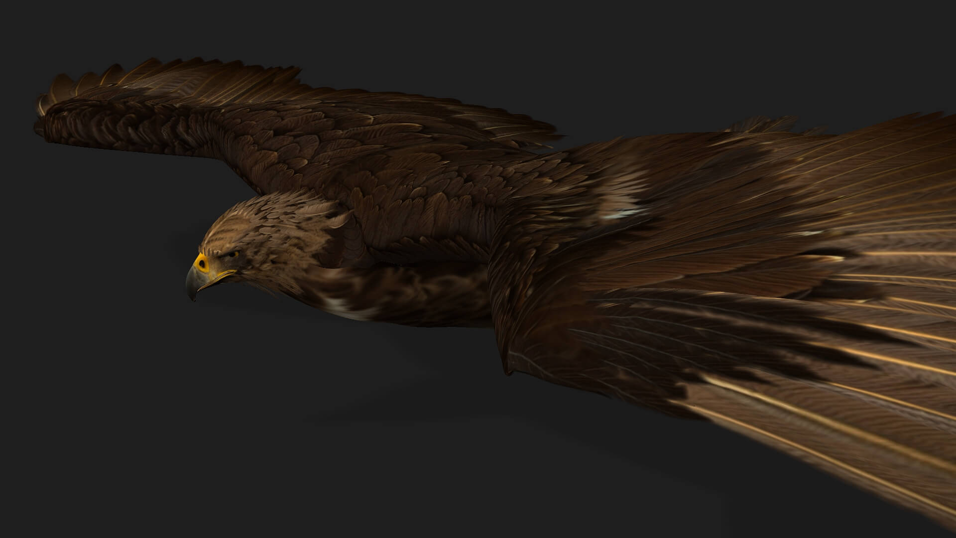 Eagle V3E Animated - 3D Model by Animated3d