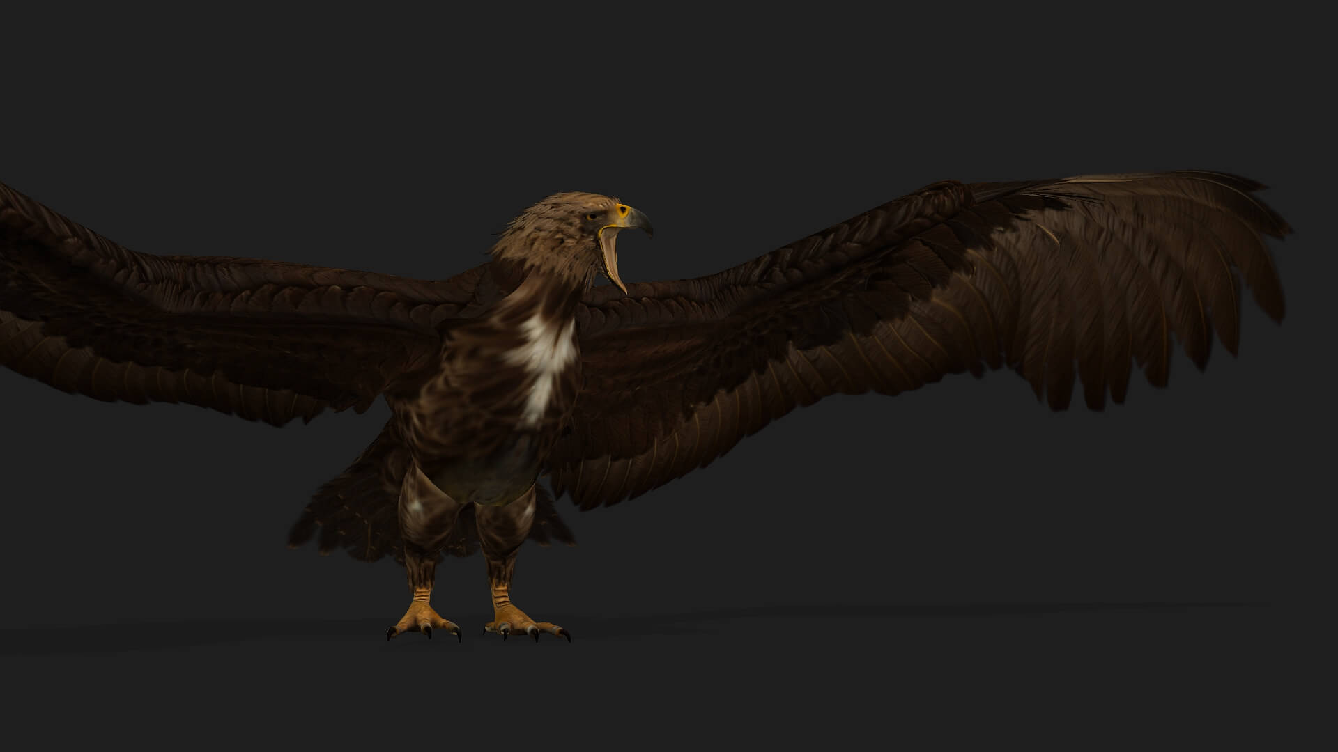 Eagle V3E Animated - 3D Model by Animated3d