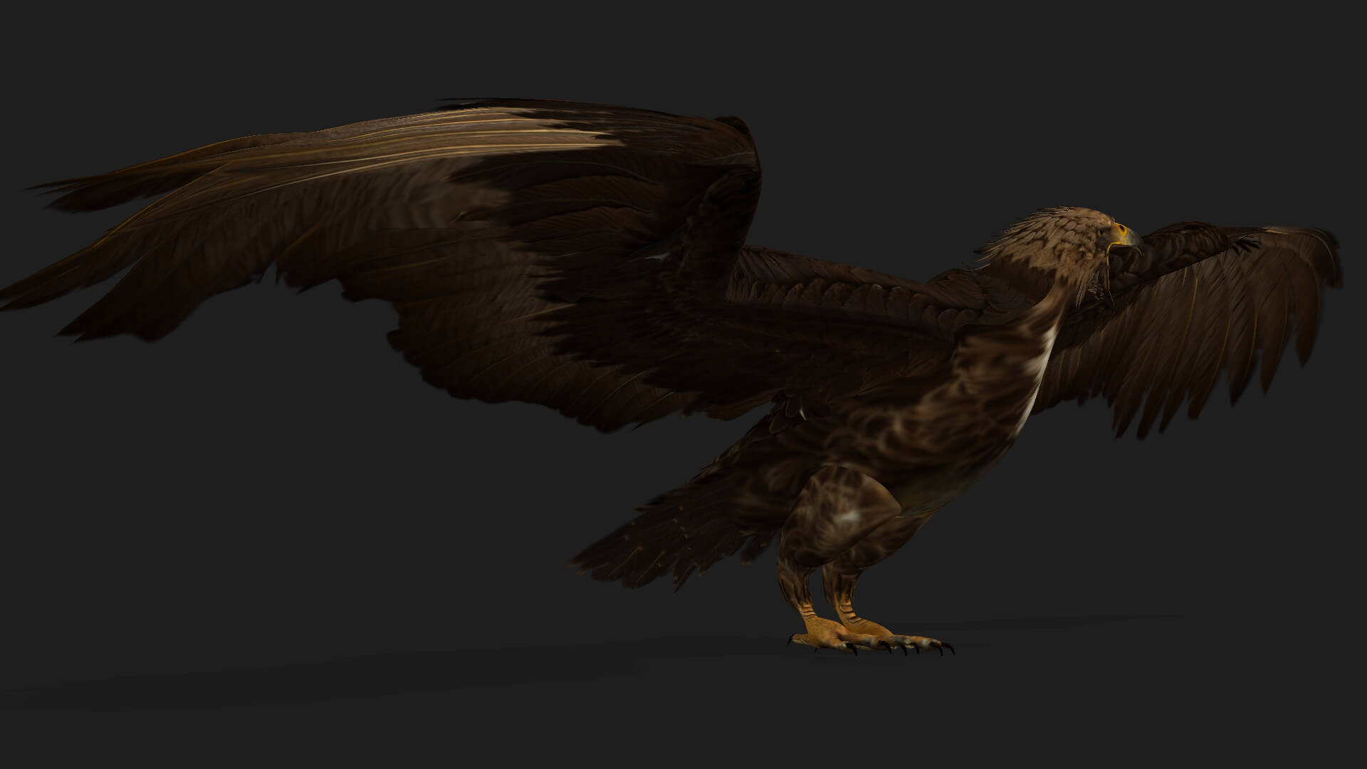 Eagle V3E Animated - 3D Model by Animated3d