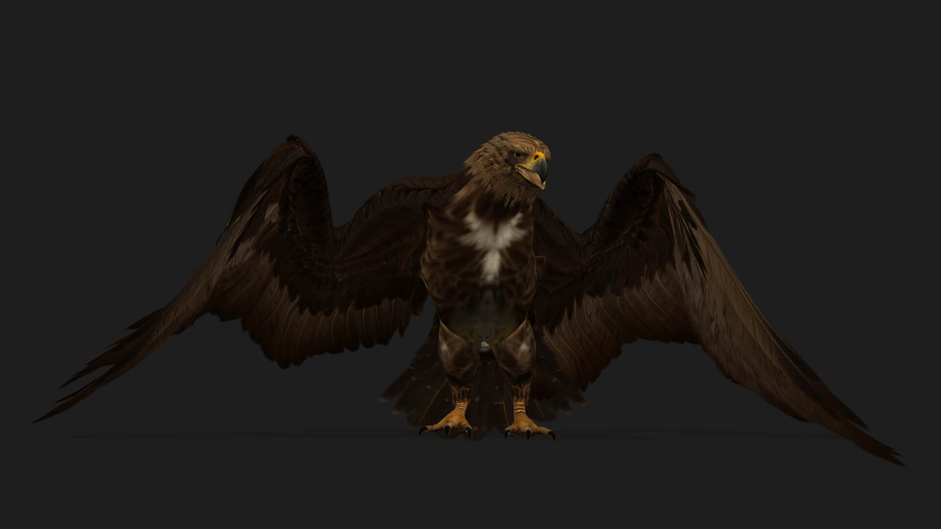 Eagle V3E Animated - 3D Model by Animated3d