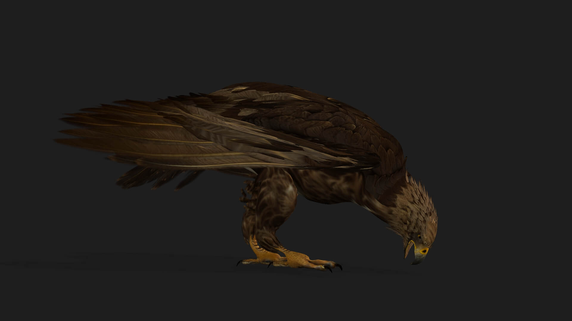 Eagle V3E Animated - 3D Model by Animated3d