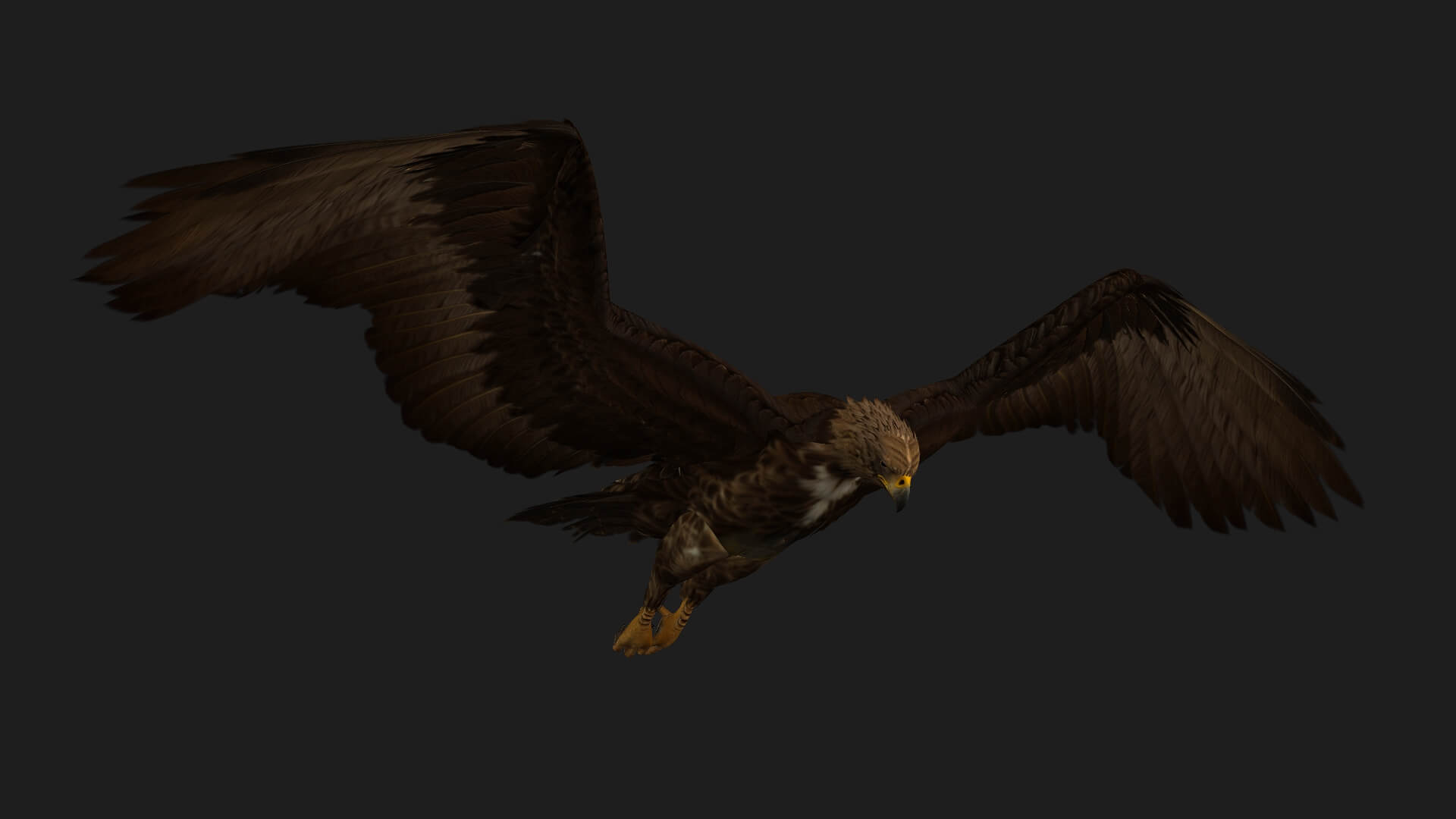 Eagle V3E Animated - 3D Model by Animated3d