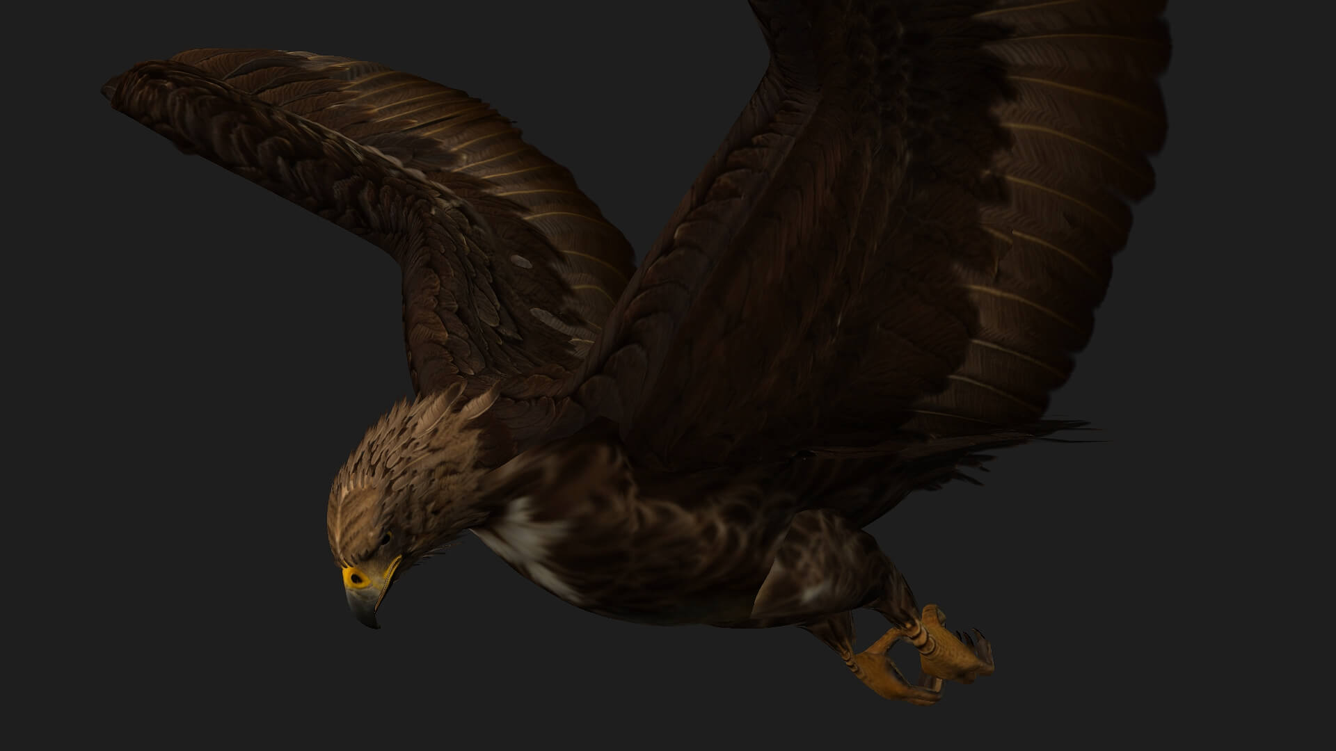 Eagle V3E Animated - 3D Model by Animated3d