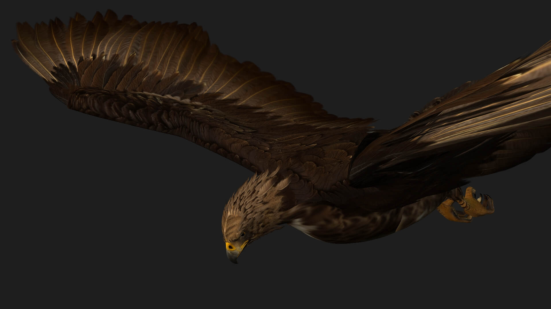 Eagle V3E Animated - 3D Model by Animated3d
