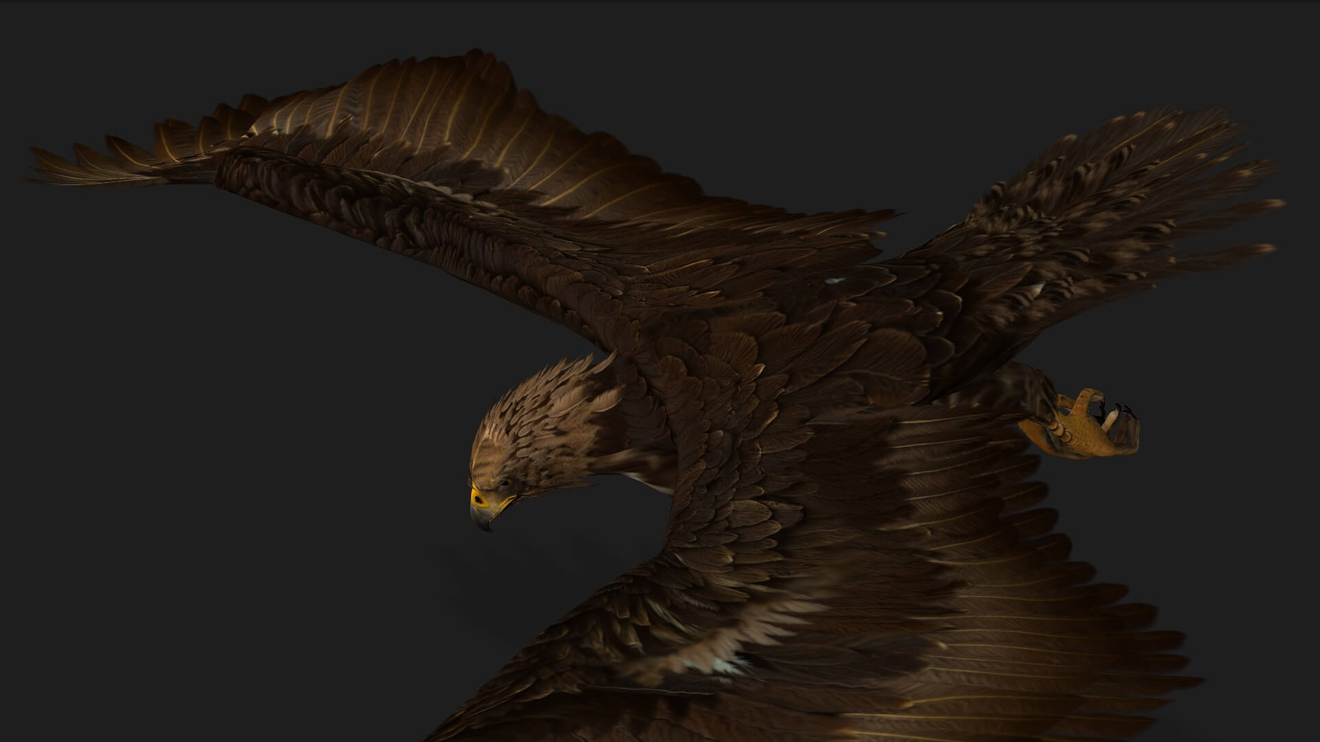 Eagle V3E Animated - 3D Model by Animated3d
