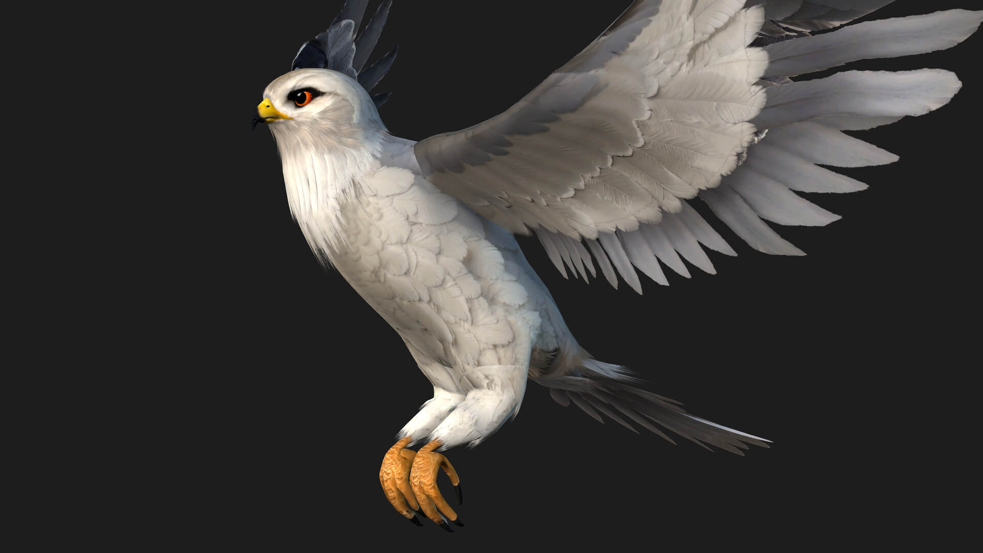 Falcon-A1-Animated 3D Model by Animated3d
